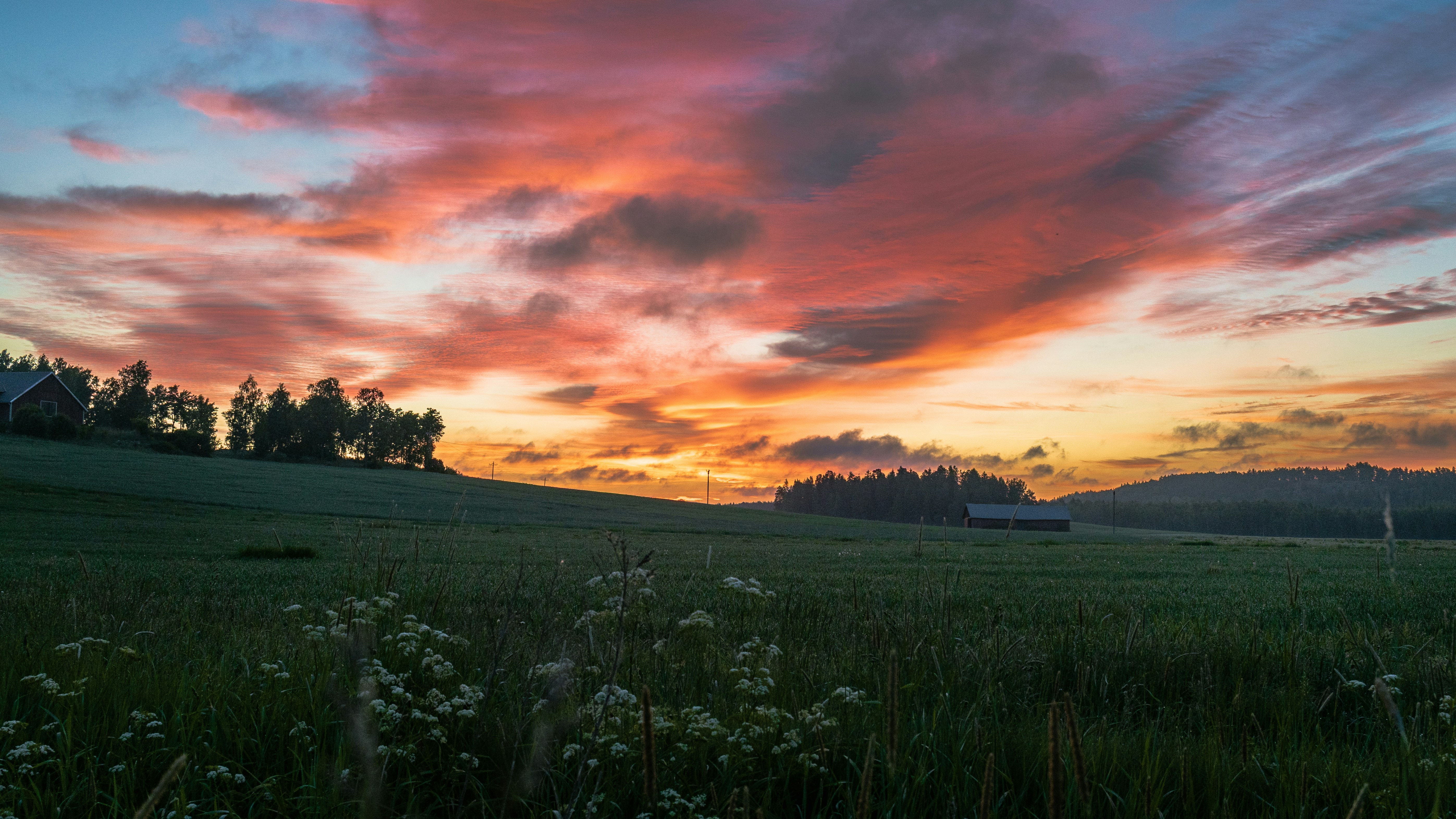 Vibrant sunset over a green field with distant trees.