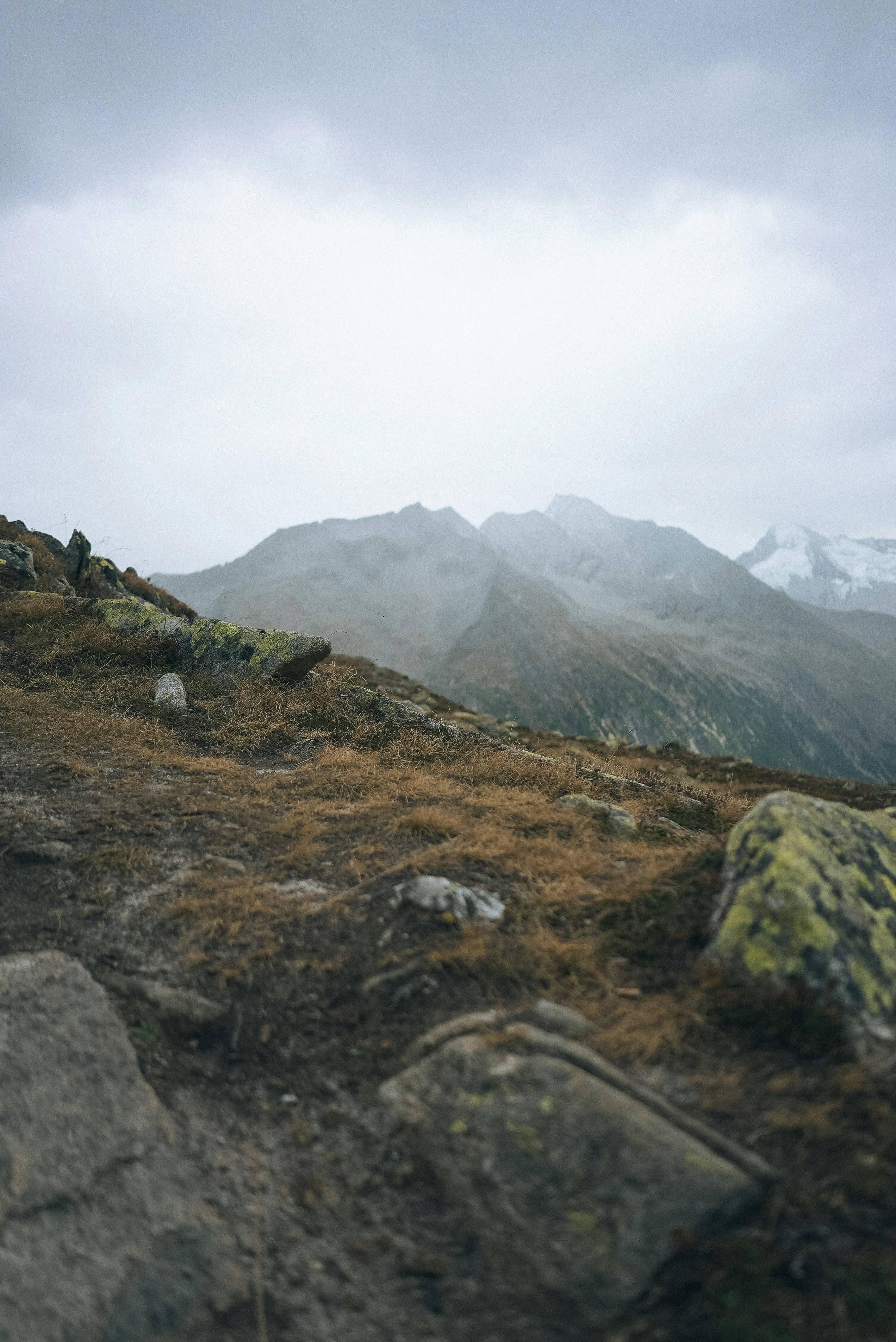 Mist-Touched Ridge: A Quiet Walk Through Alpine Gray