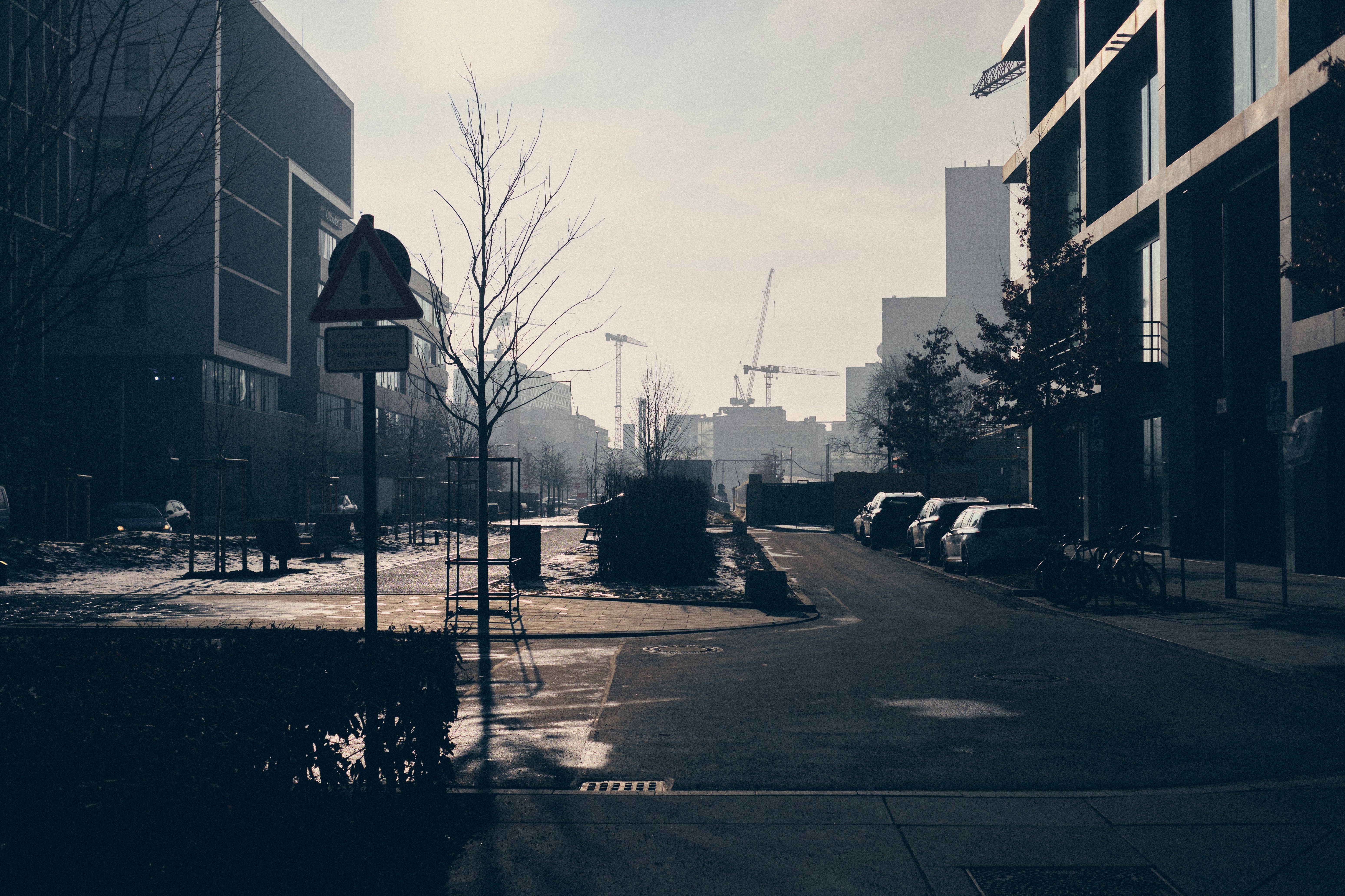 Urban Quiet: A Street in Soft Winter Light