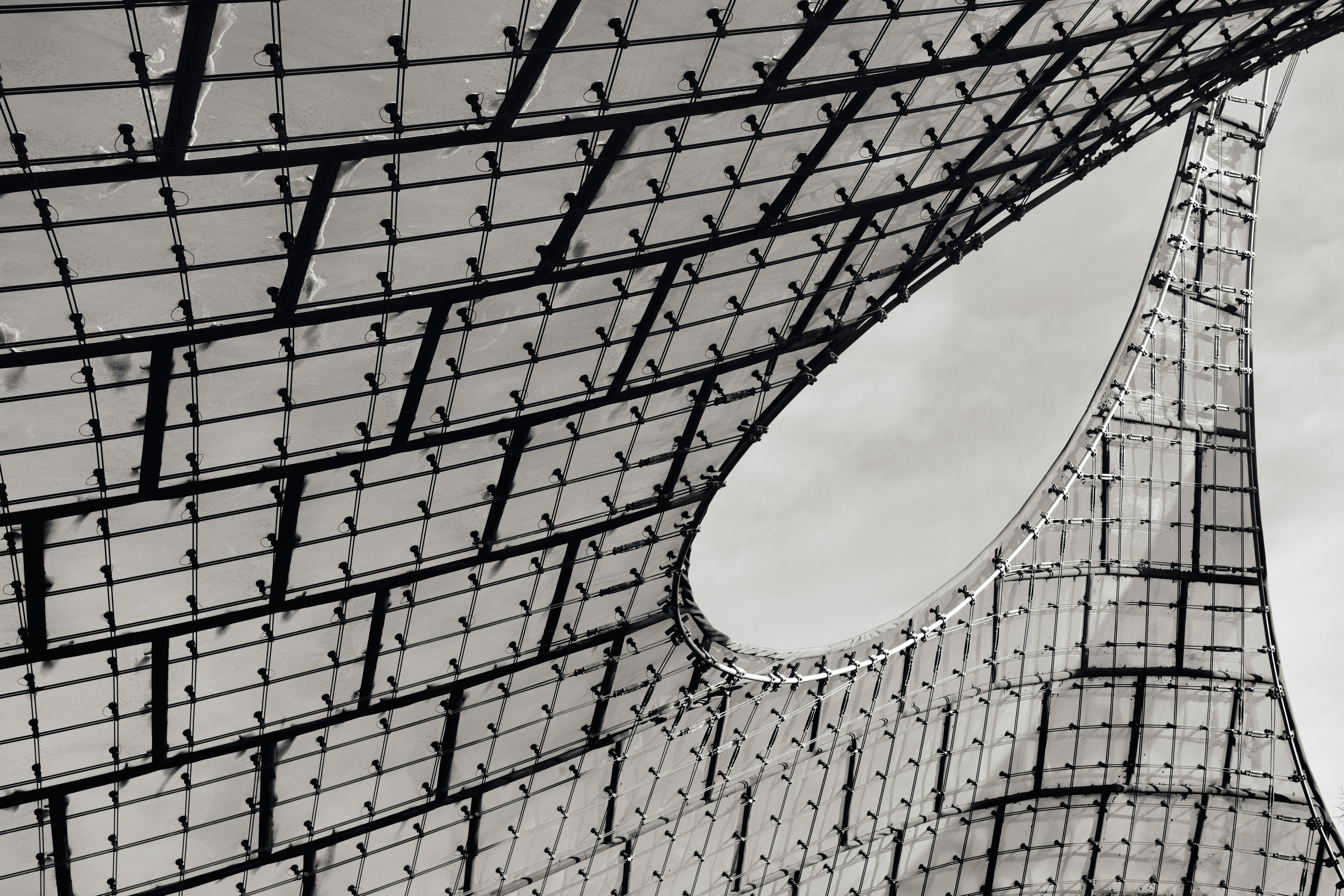 Curved Glass and Steel: A Lattice of Light