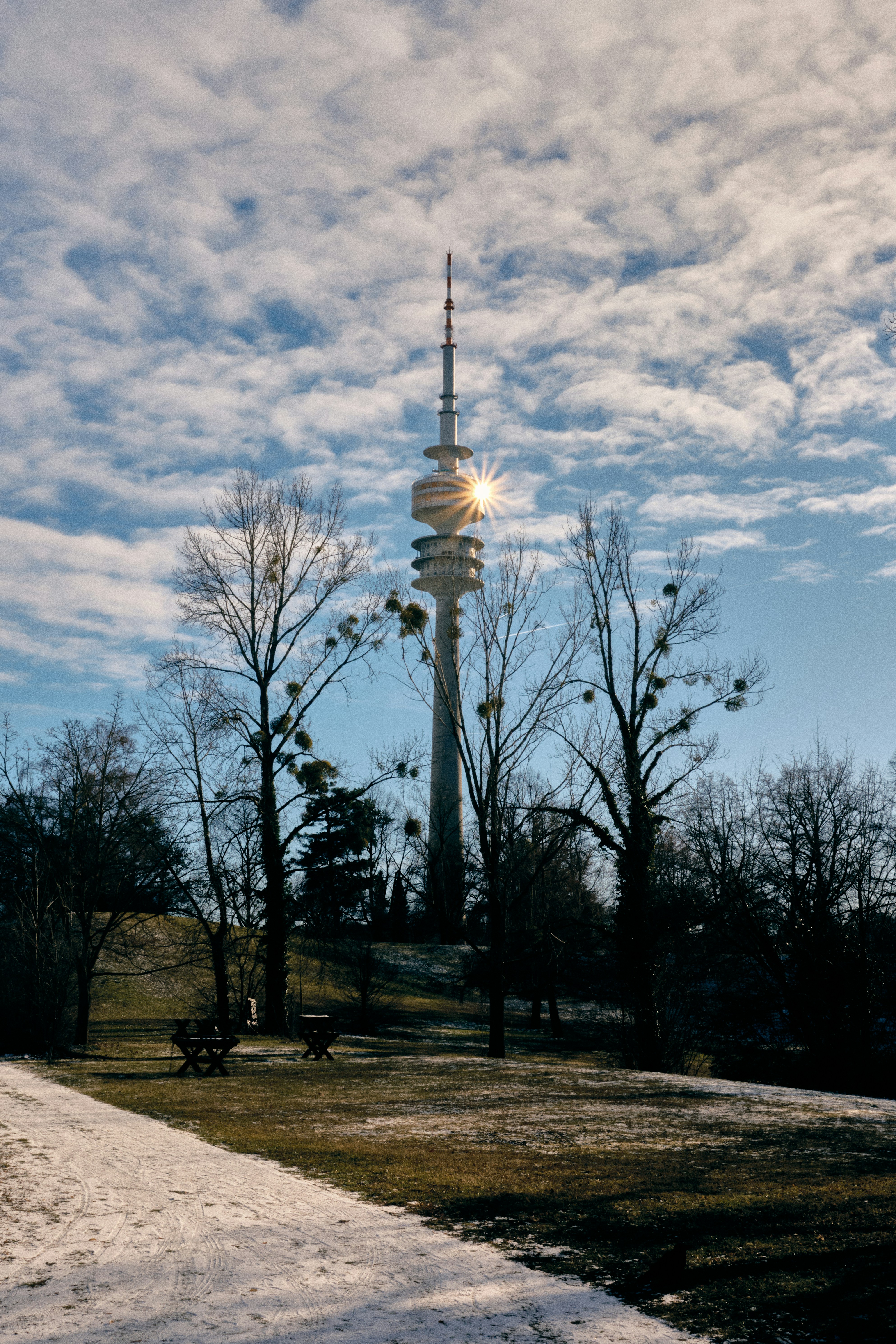 Tower Beacon Amid Bare Trees: A Winter Park Vista Under a Clouded Sky