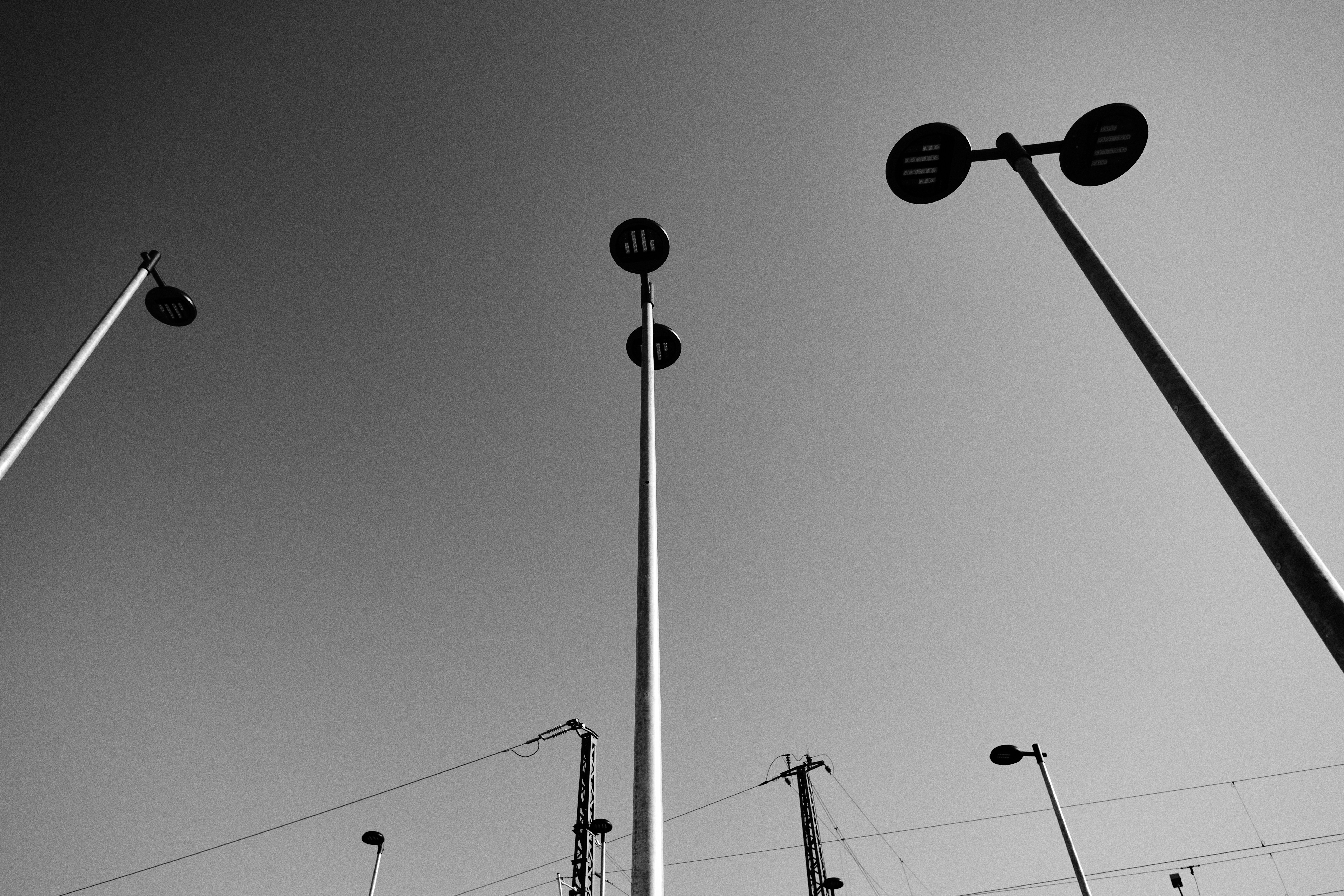 Toward the Sky: Streetlights Reaching into a Stark Blue-Gray Limit