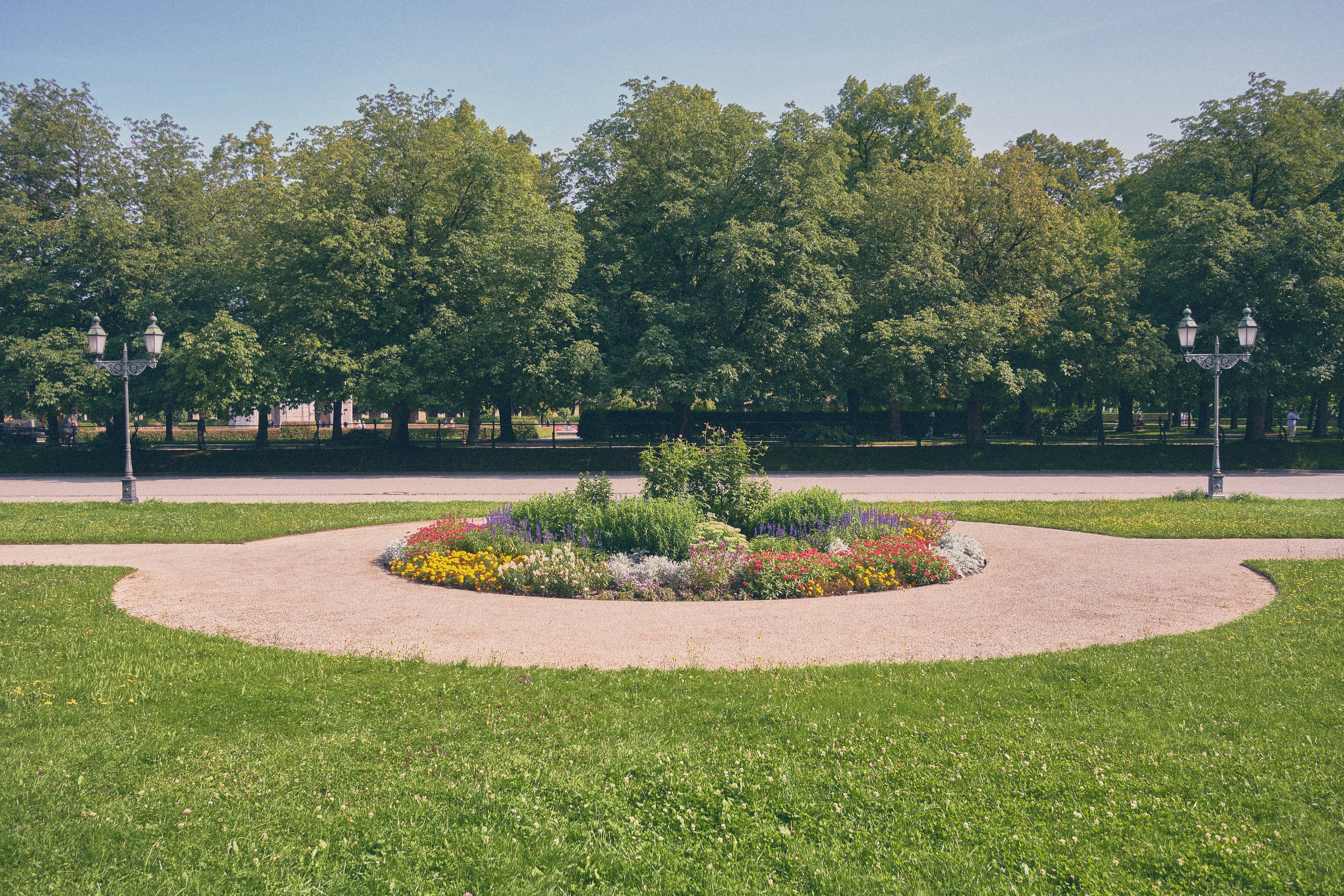 Circular Flower Bed Framed by Tidy Greenery in a Sunny Park