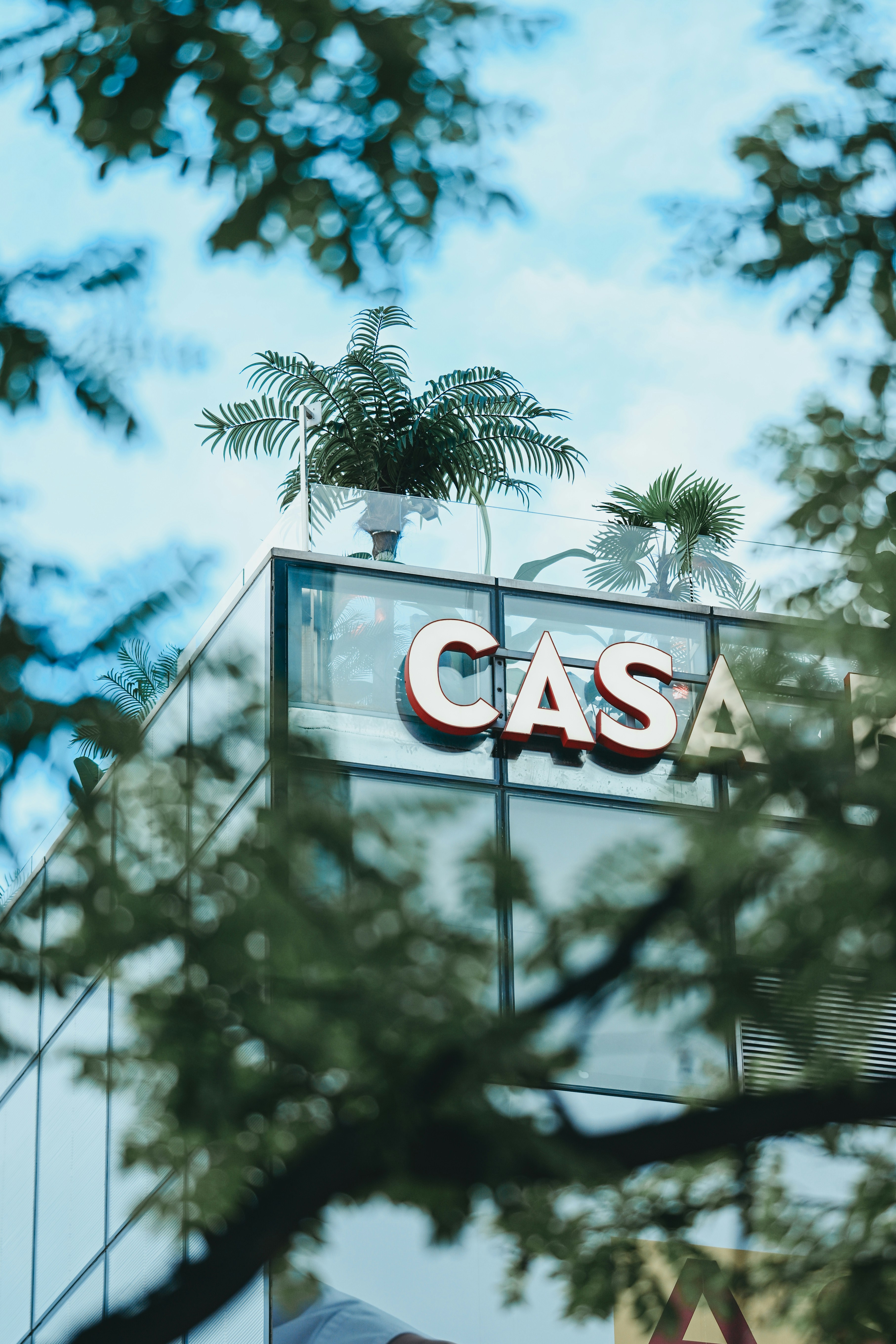 Urban Signive: CAS A Sign On Glassy Facade Framed by Foliage