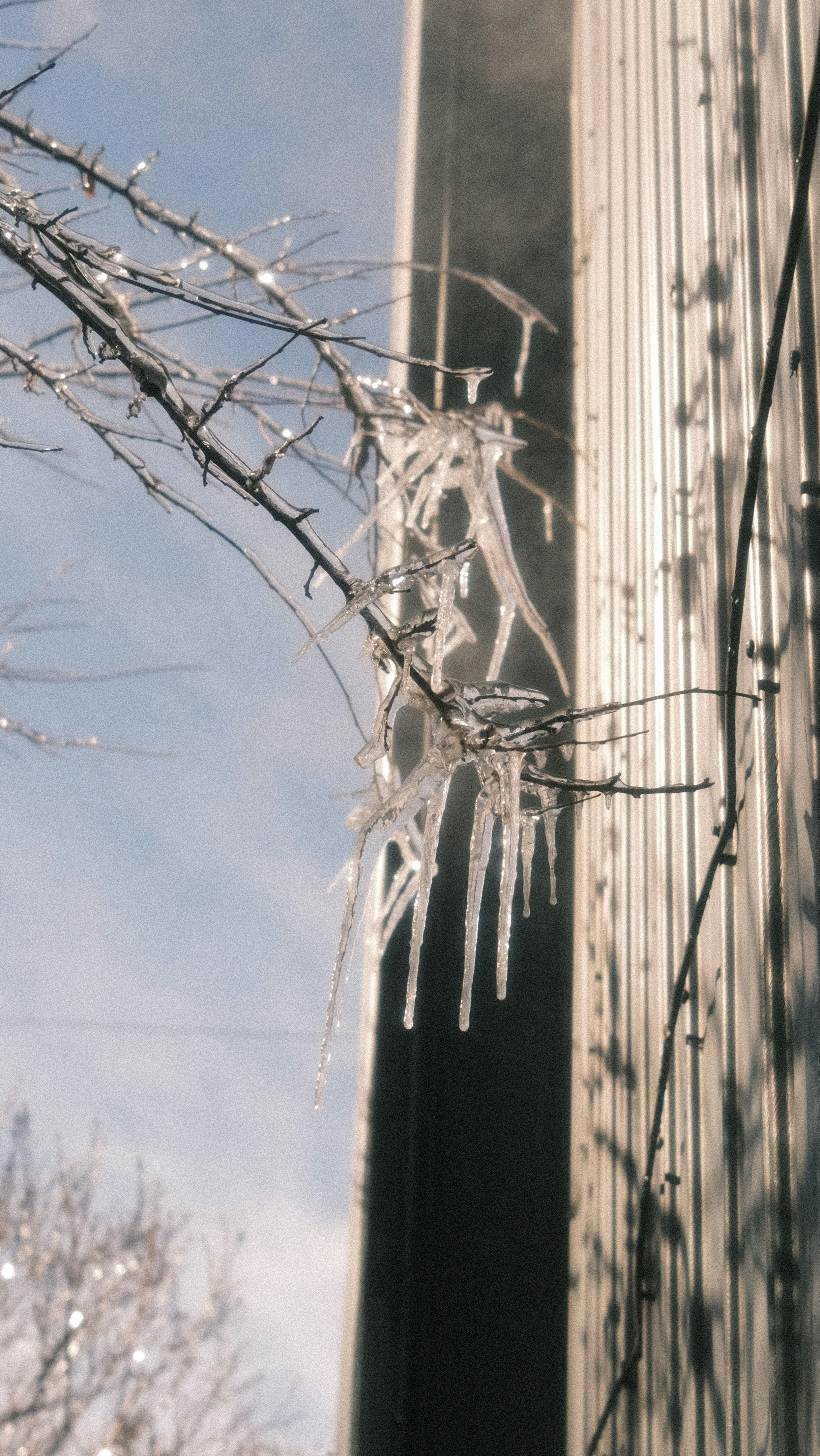 Icicle Necklace on Frigid Facade