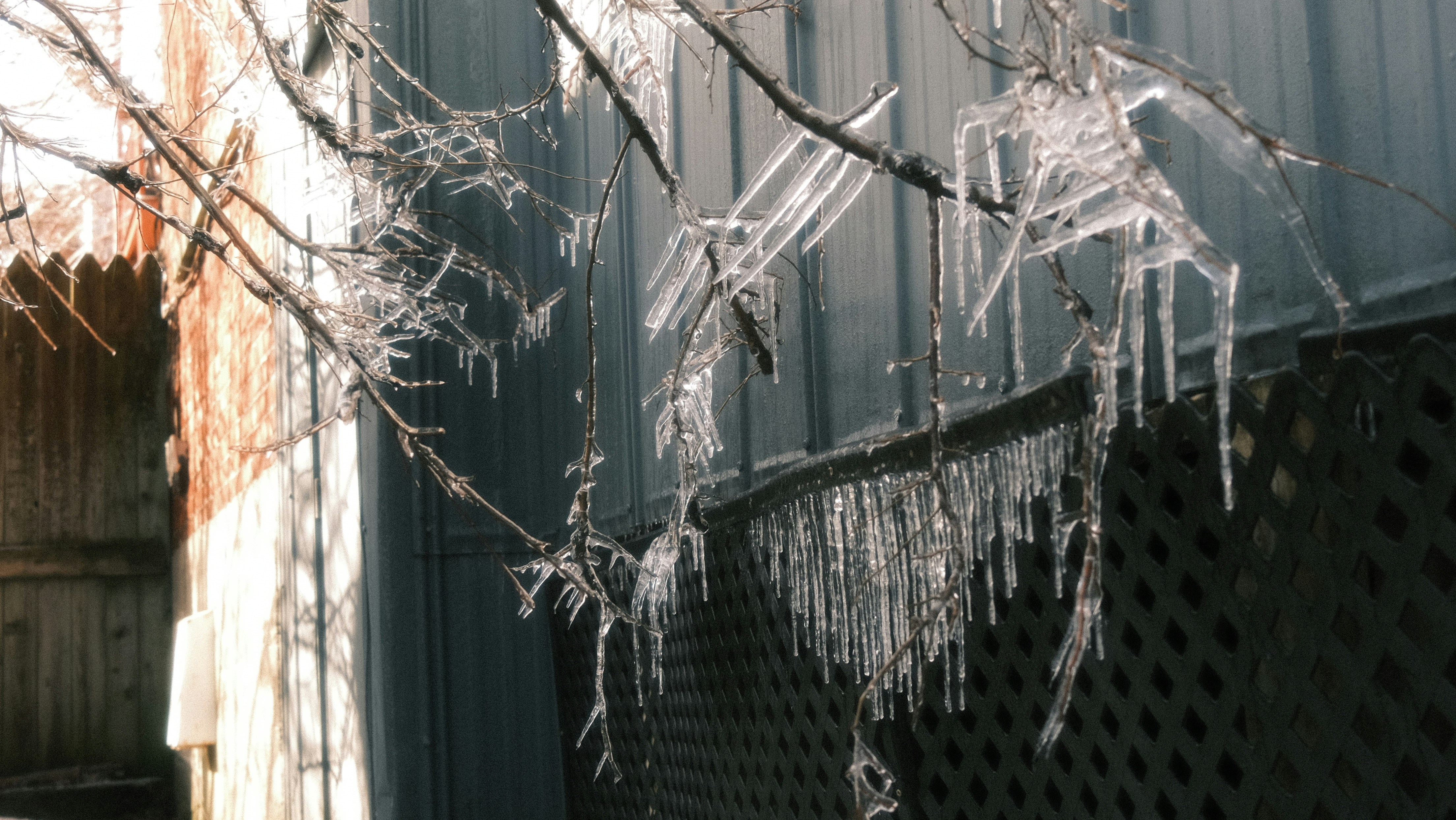 Icicles on the Fence: Quiet Winter Sharpness