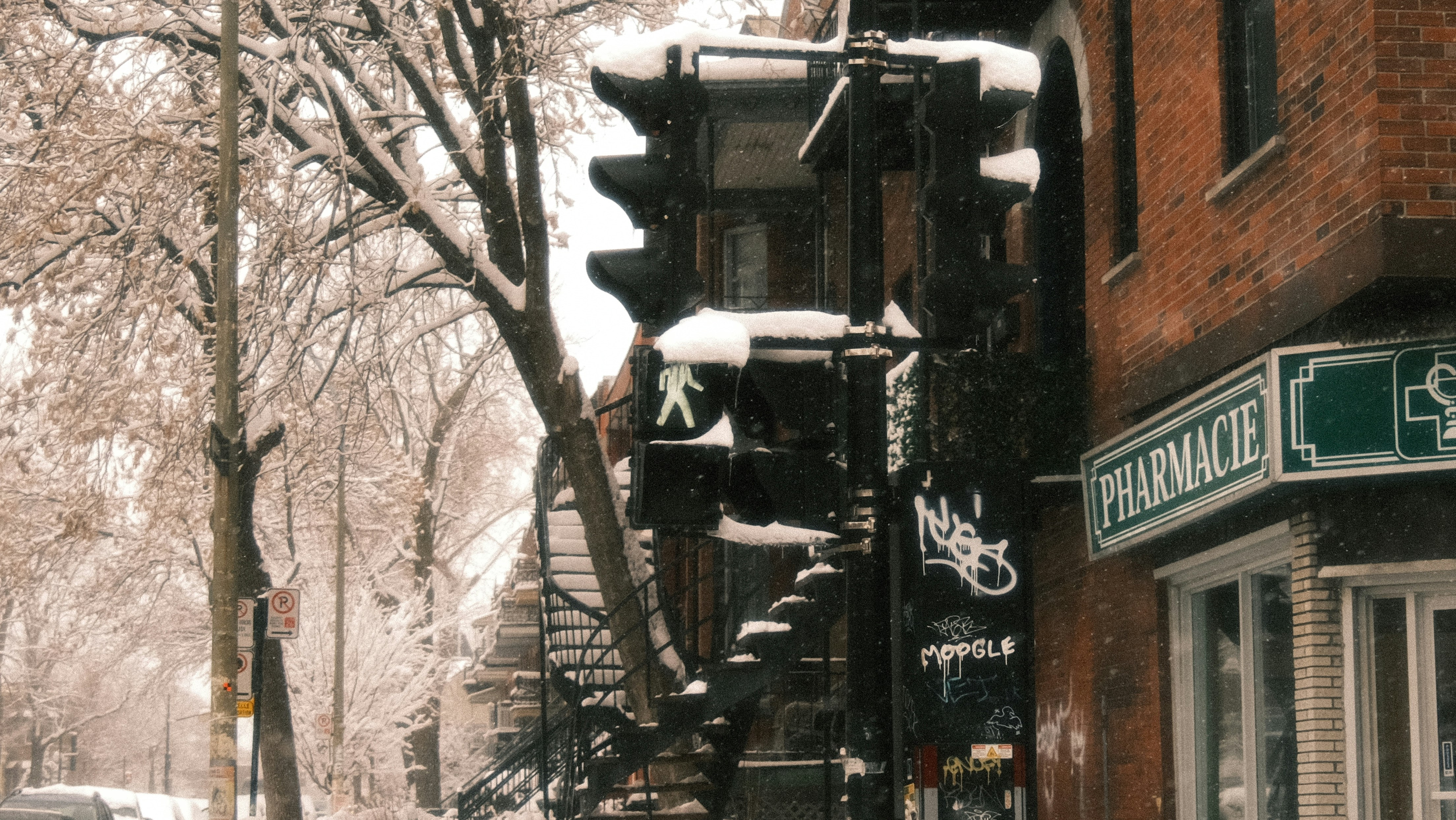 Snowbound Street Corner with Pharmacy Sign