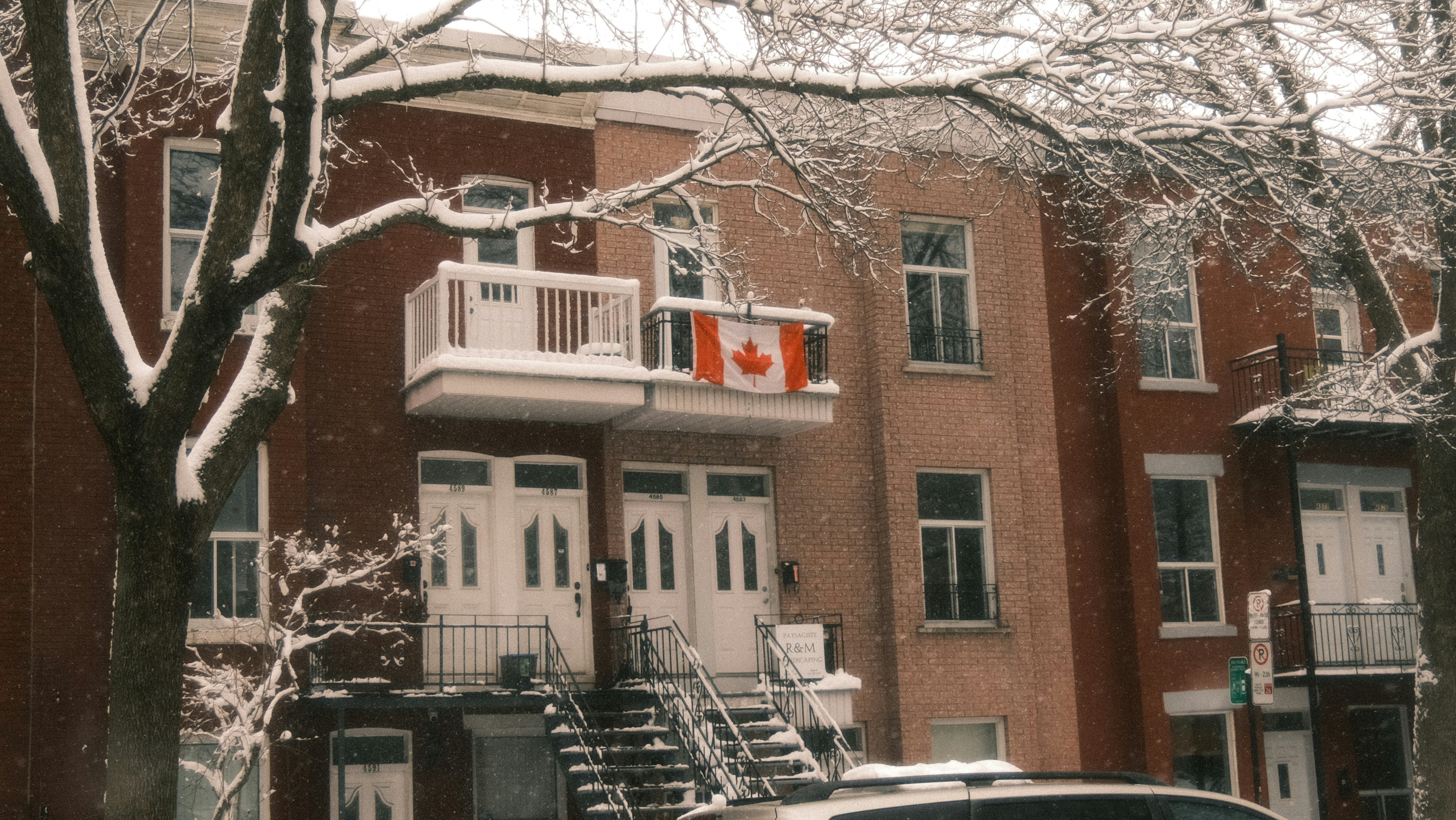 Red Maple on a Snow-Capped Balcony