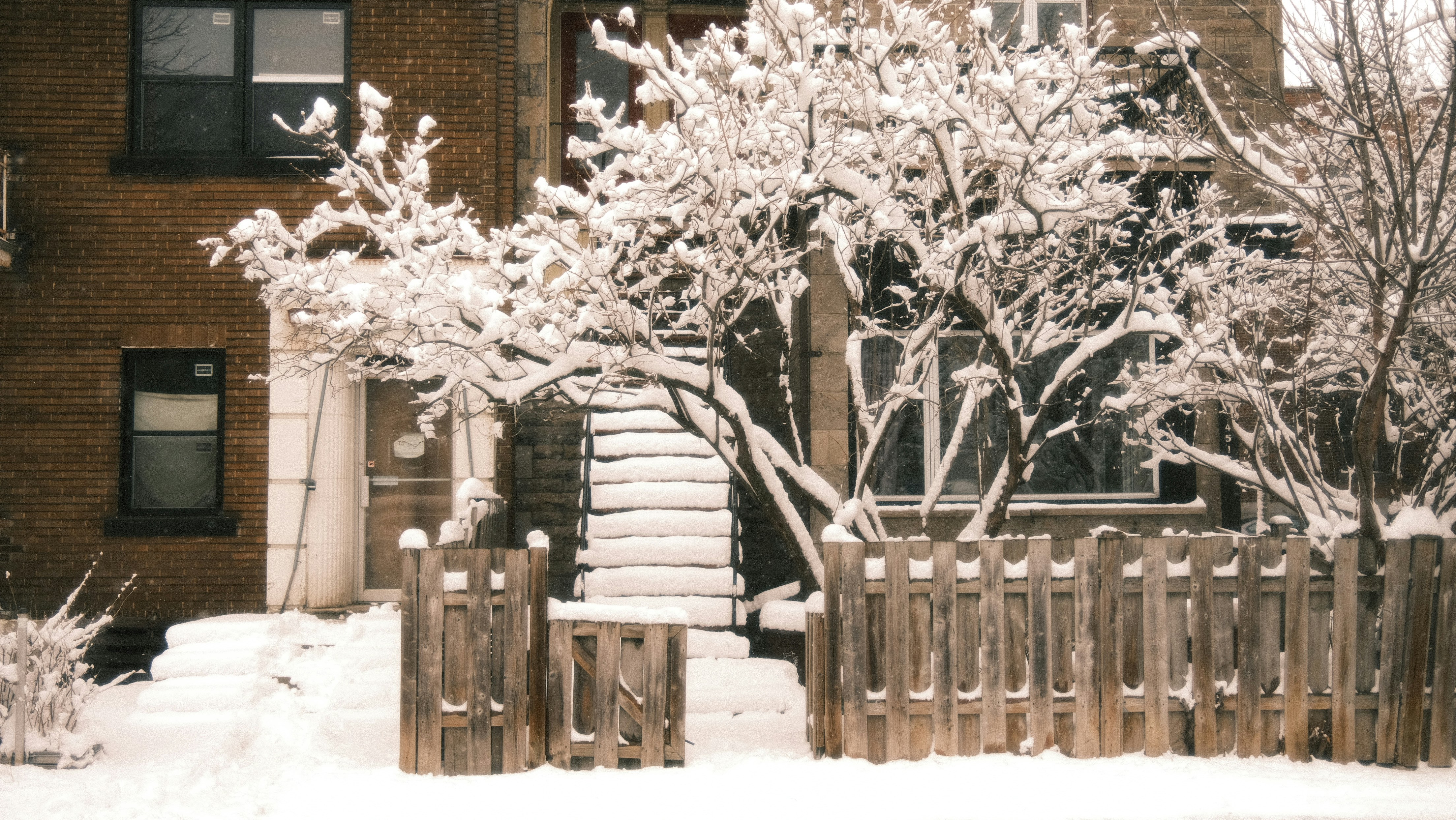 Snow-covered tree and fence in front of a brick house.