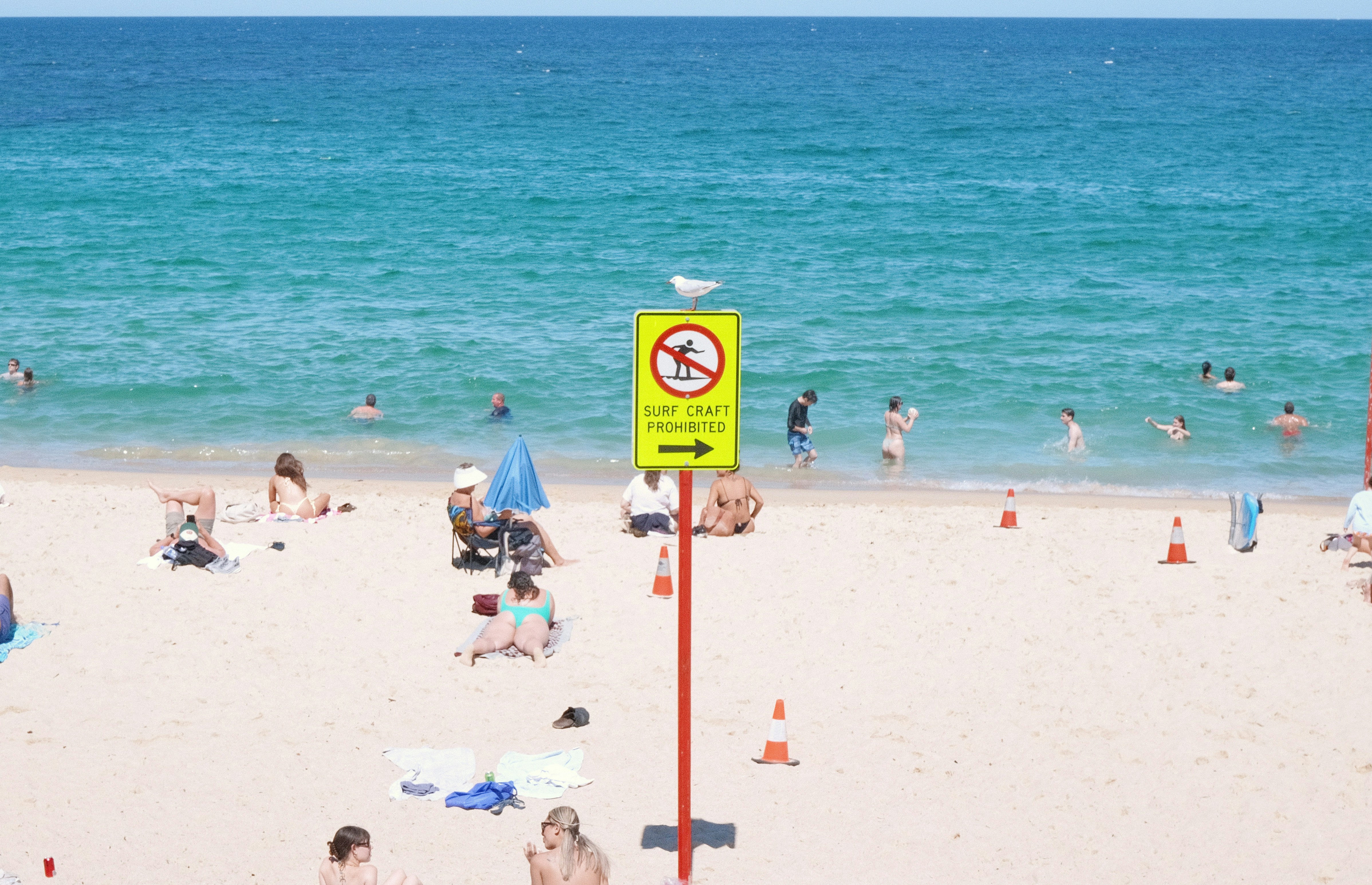 Signpost at Dawn: A Quiet Beach Between Ocean Blues and Sunlit Sand