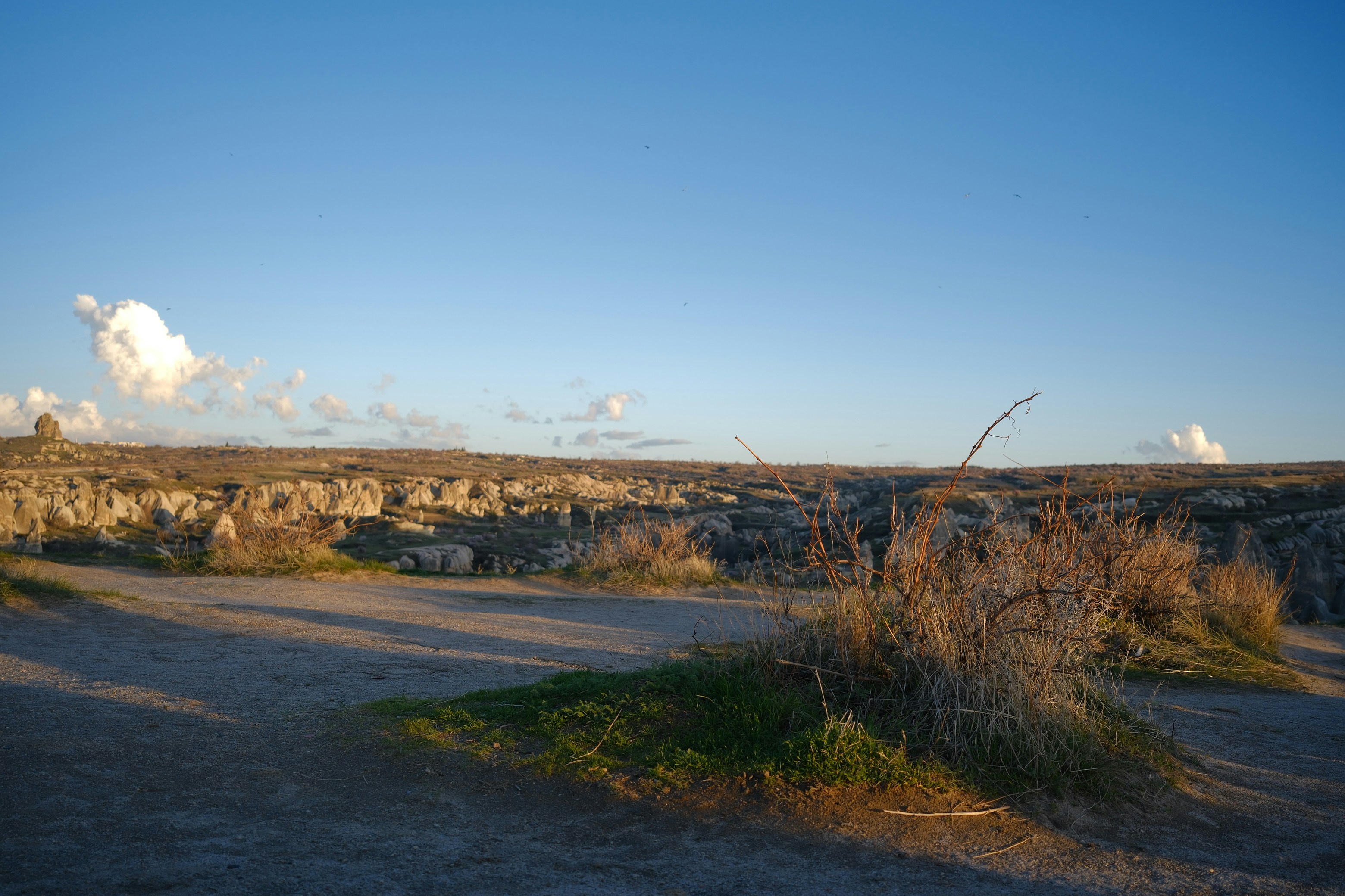 Sunlit arid landscape with a rugged cliff edge across the horizon and a dirt path in the foreground; sparse shrubs and a clear blue sky, emphasizing natural texture and depth.