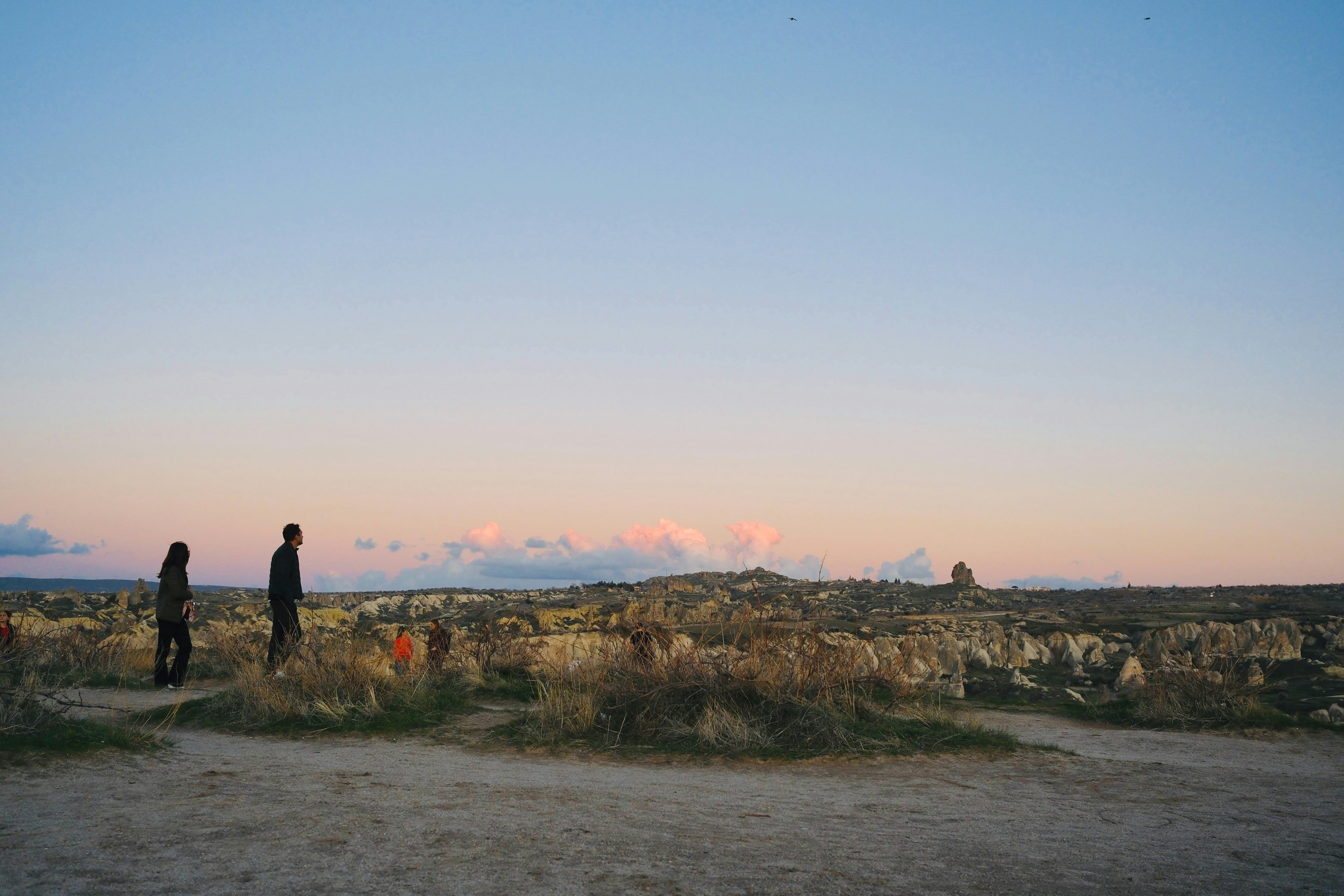 Horizon Walk: Silhouettes Amid Desert Grass at Sunset