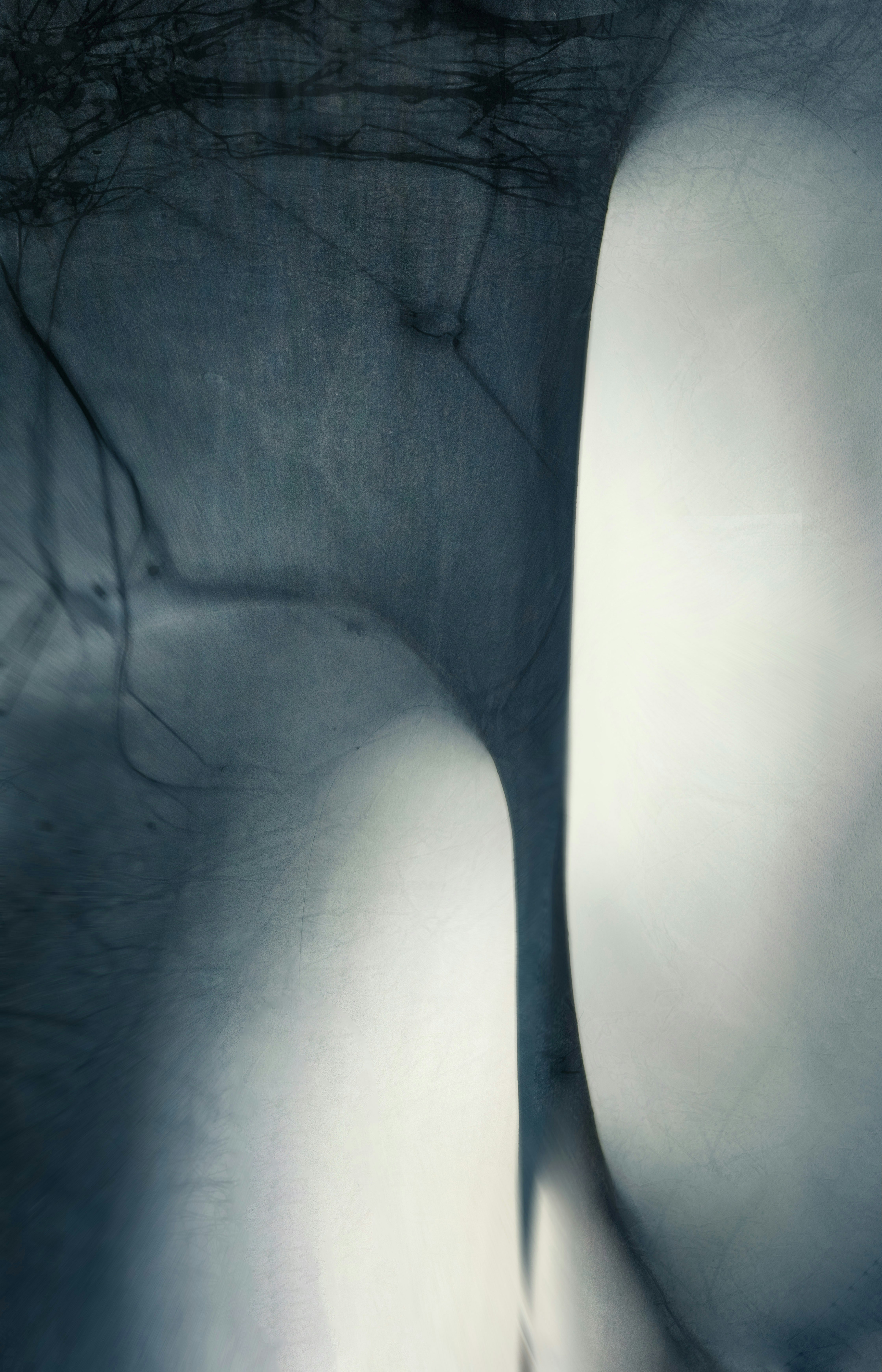Veiled Contours: An Abstract Study of Shadow and Light
