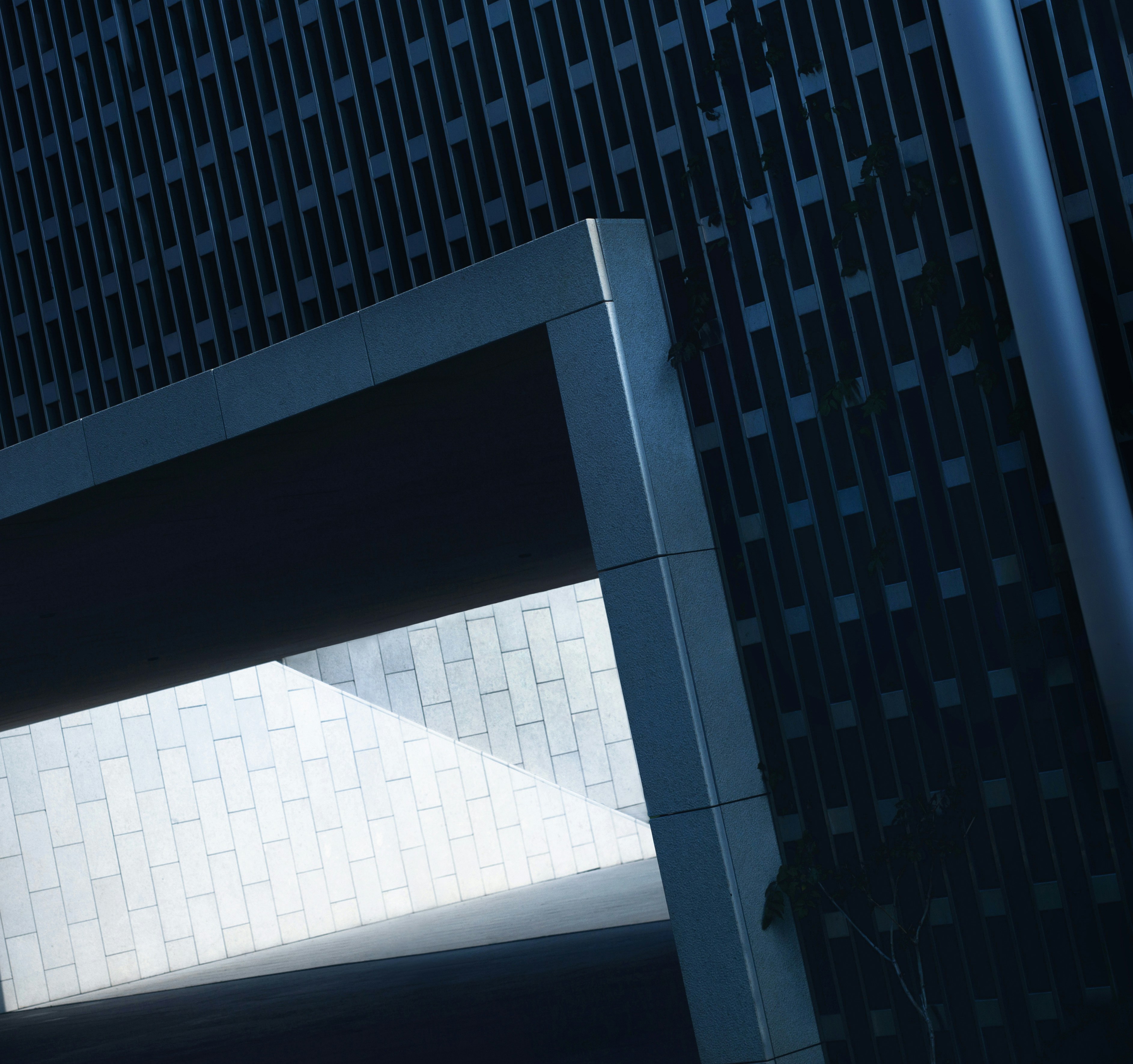 Architectural Gaps: Light and Shadow Across a Modern Facade