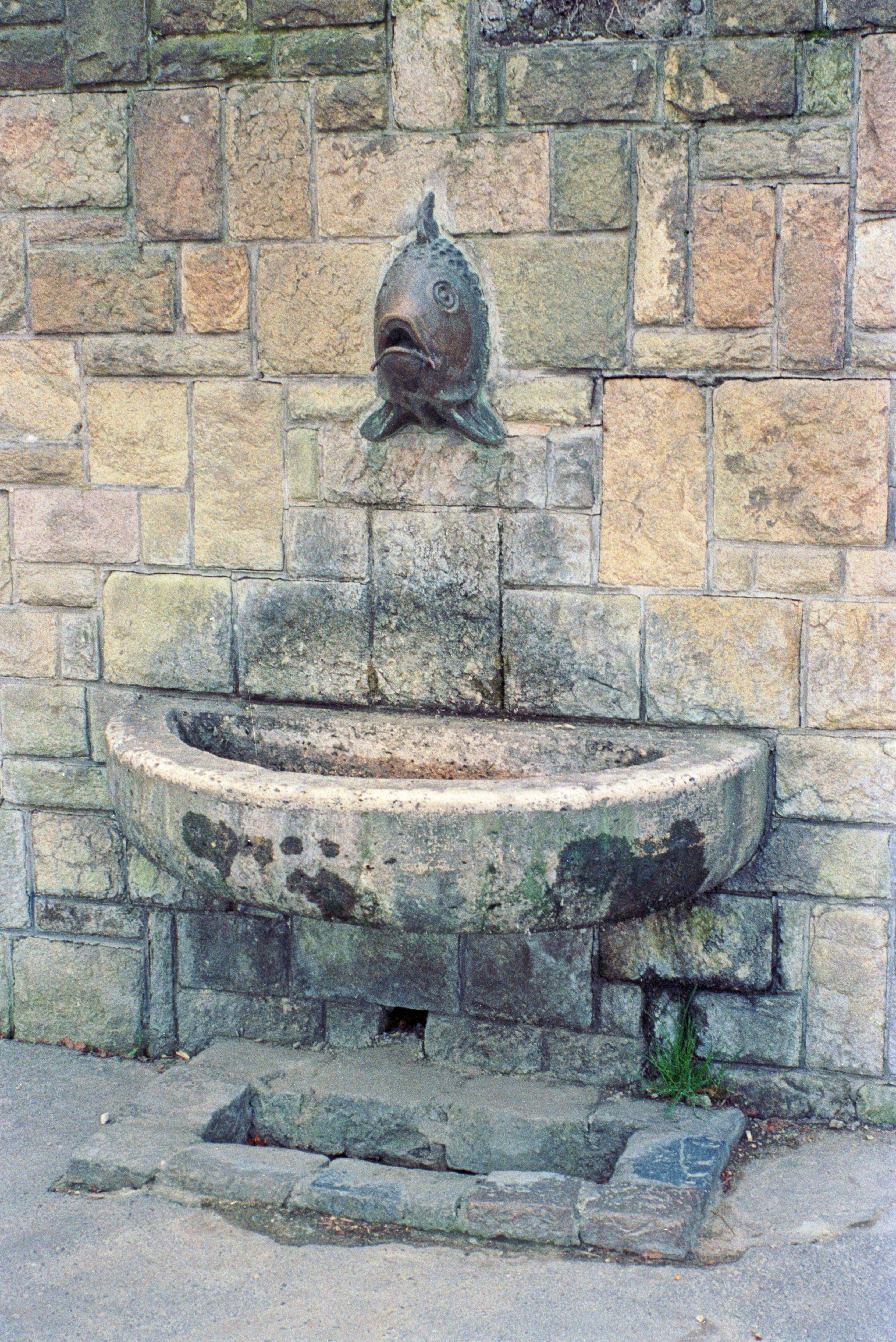 Stone Pew and Frowning Fish Fountain
