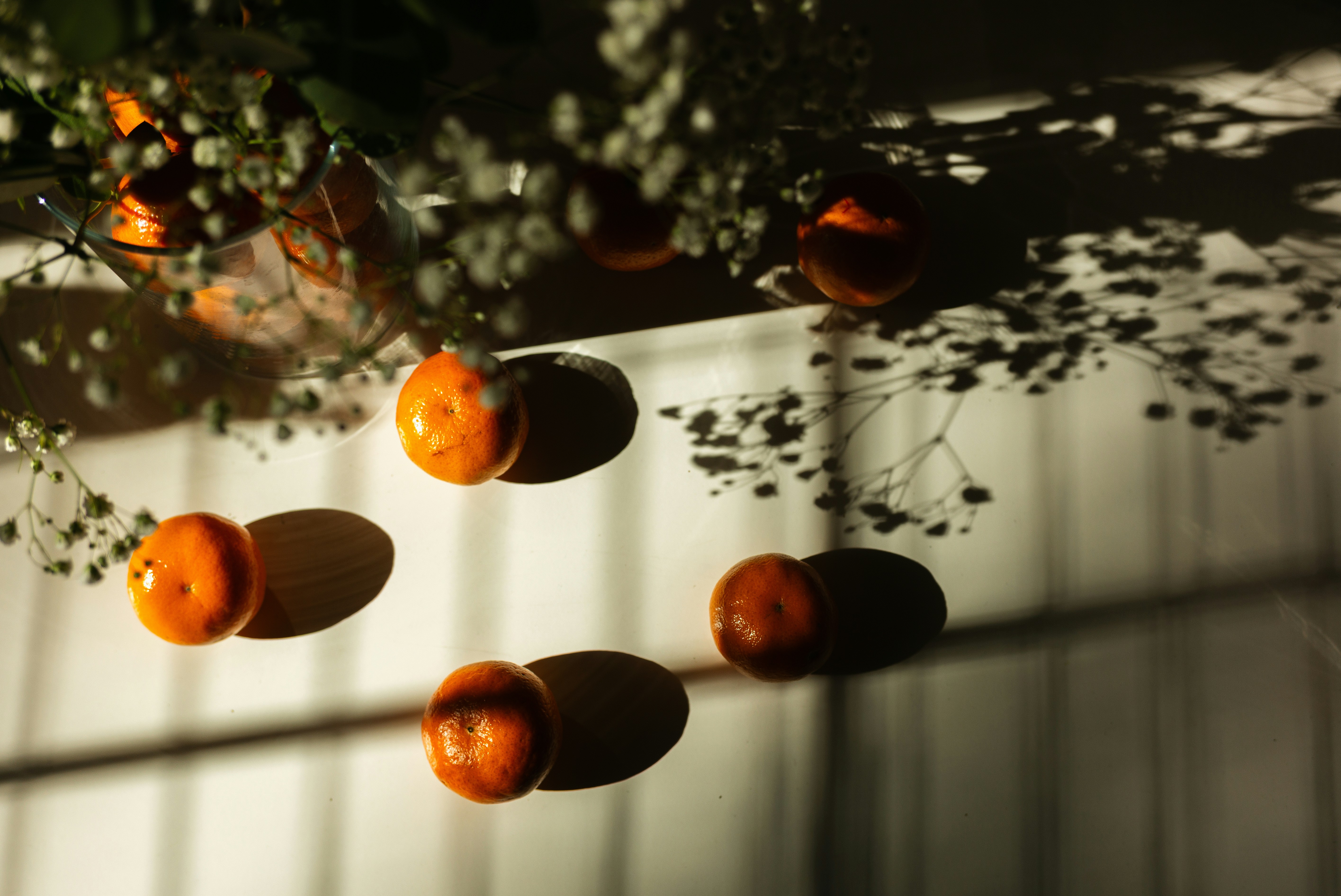 Oranges and delicate flower shadows on a textured surface.