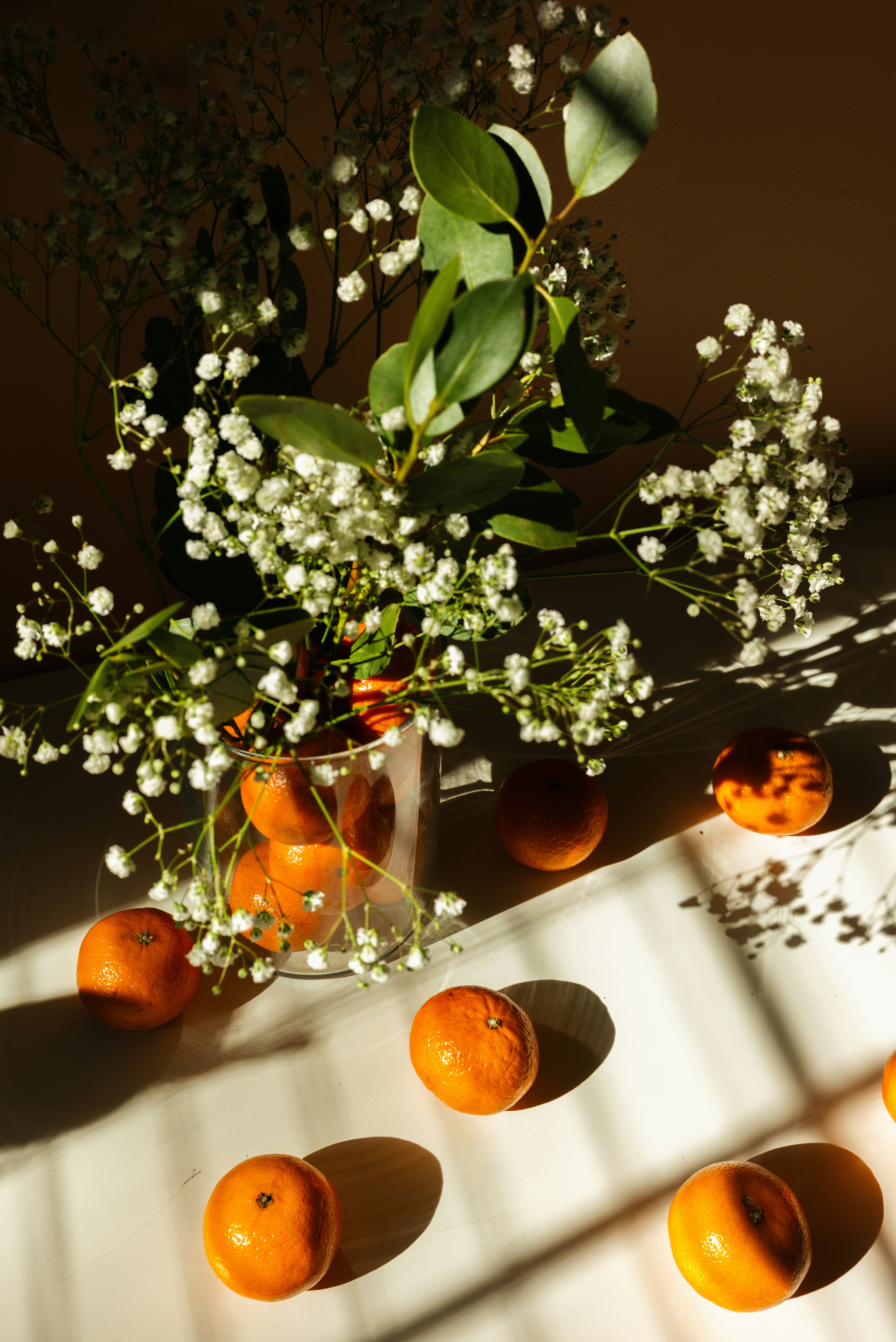 Sunlit Oranges and Baby’s Breath in a Glass Vase