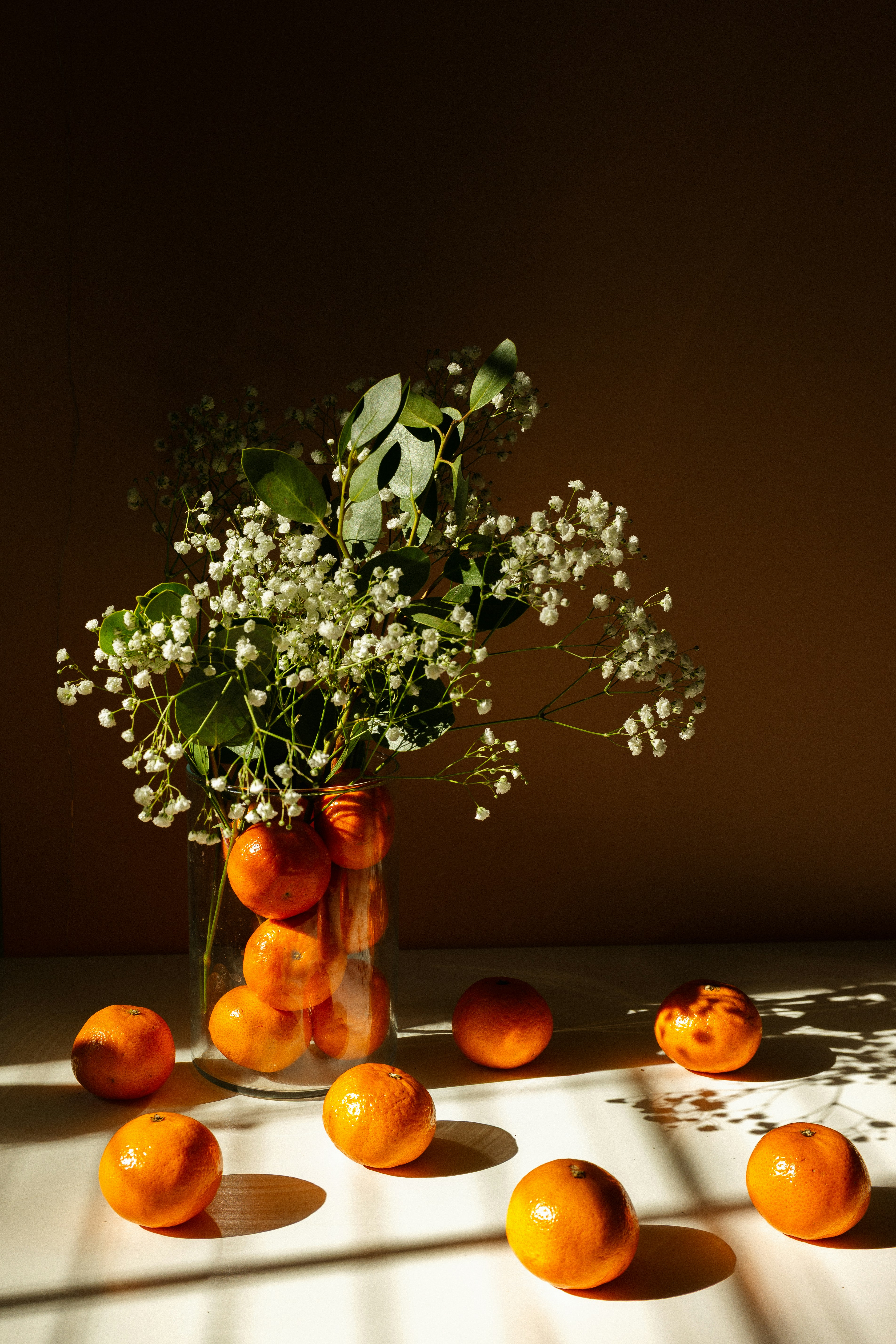 Still Life in Sunlit Citrus and Gypsophila