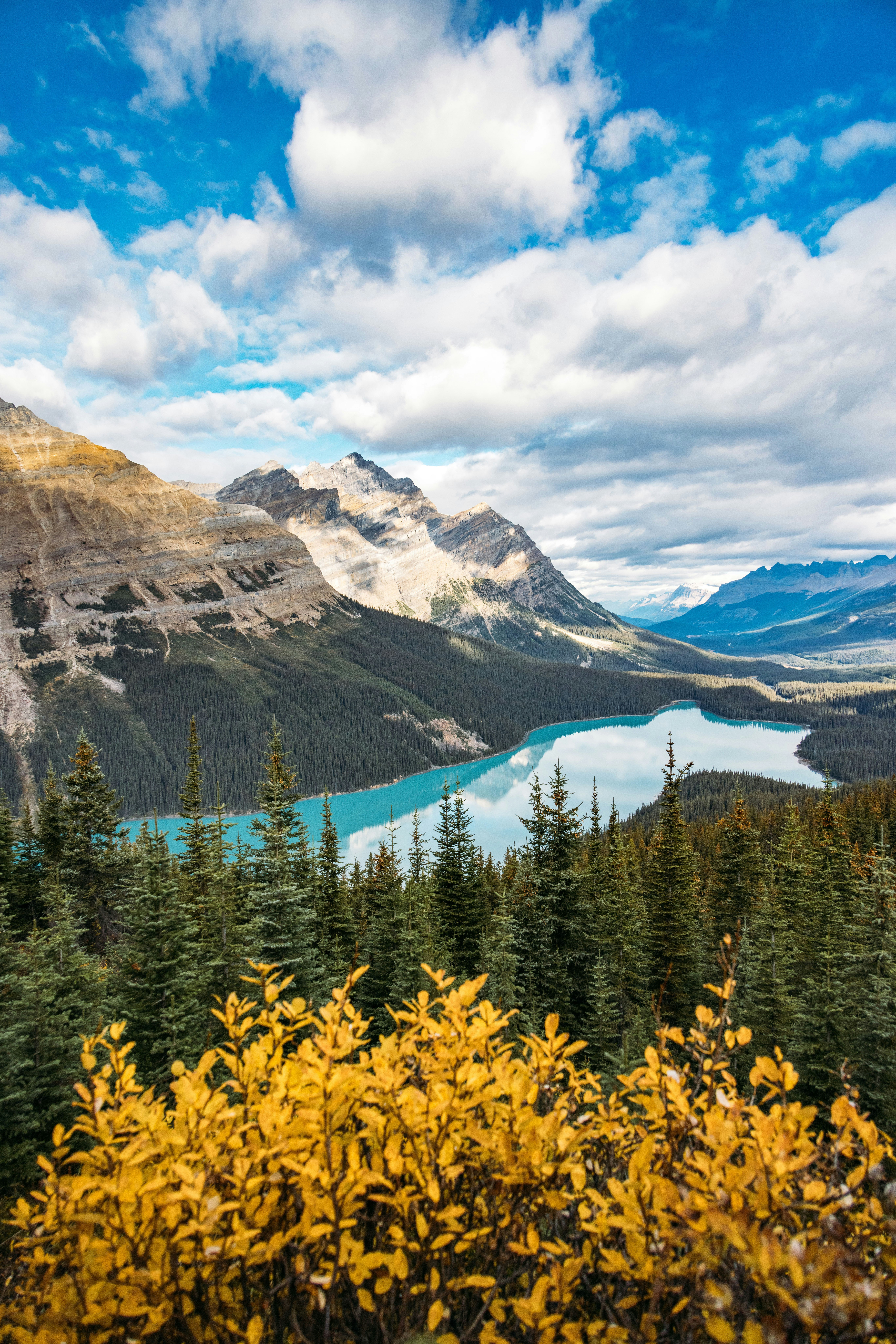 Emerald Lake Among Pine Peaks at Daybreak