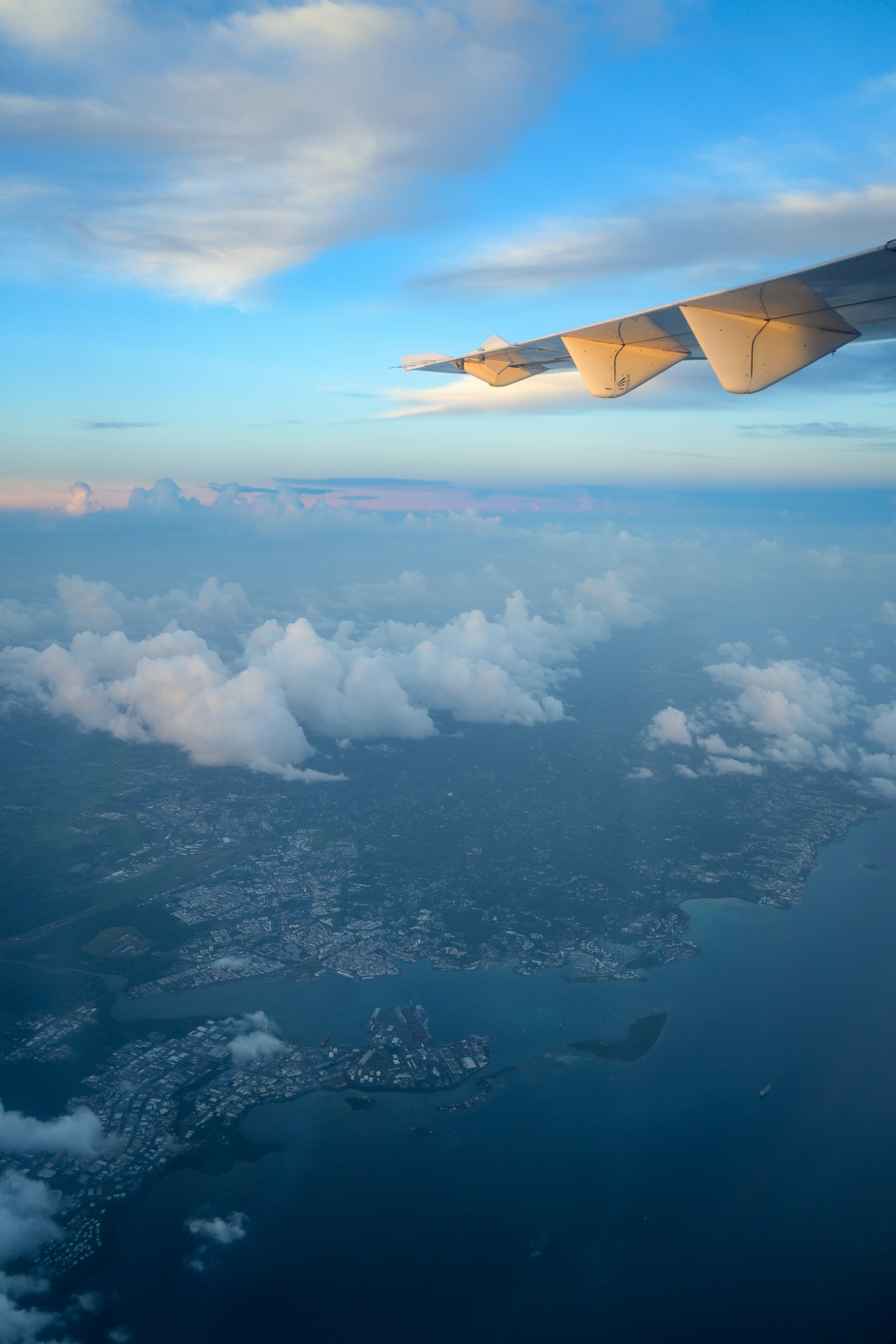 Wing shadow over a sea of clouds: Aerial calm from above