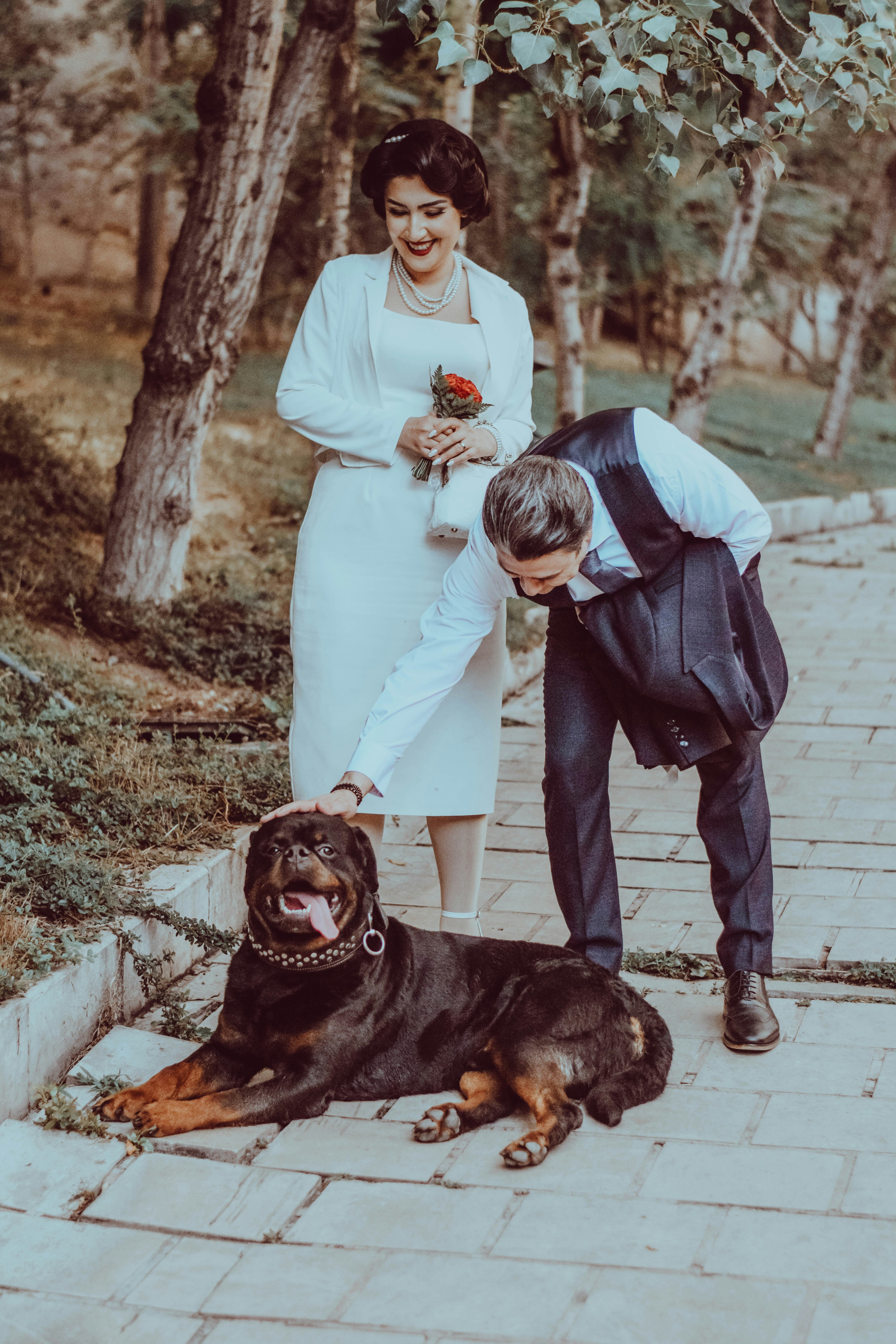 A Gentle Moment: Bride and Groom with a Reclining Labrador