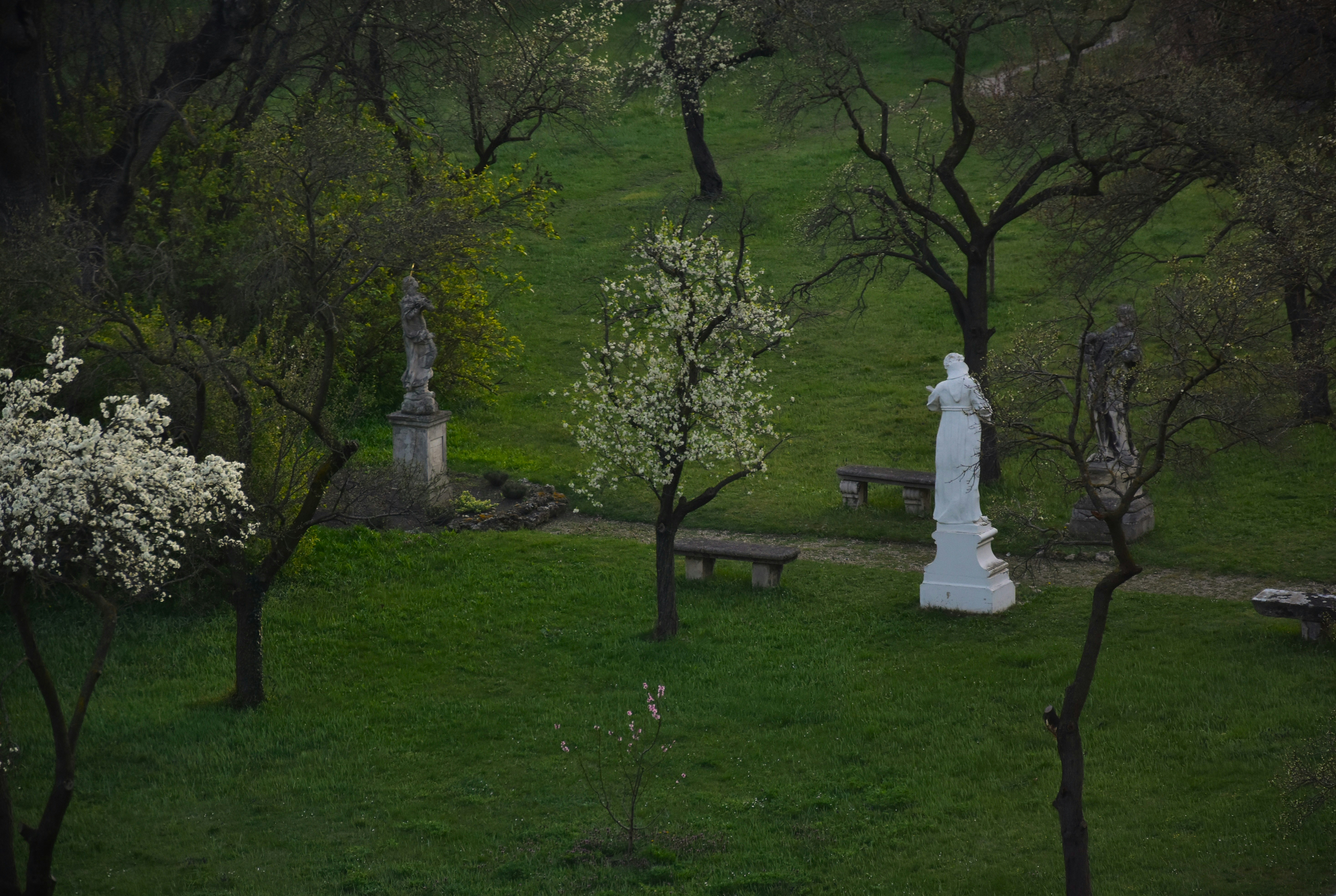 Whispers of Marble and Bloom in a Quiet Park