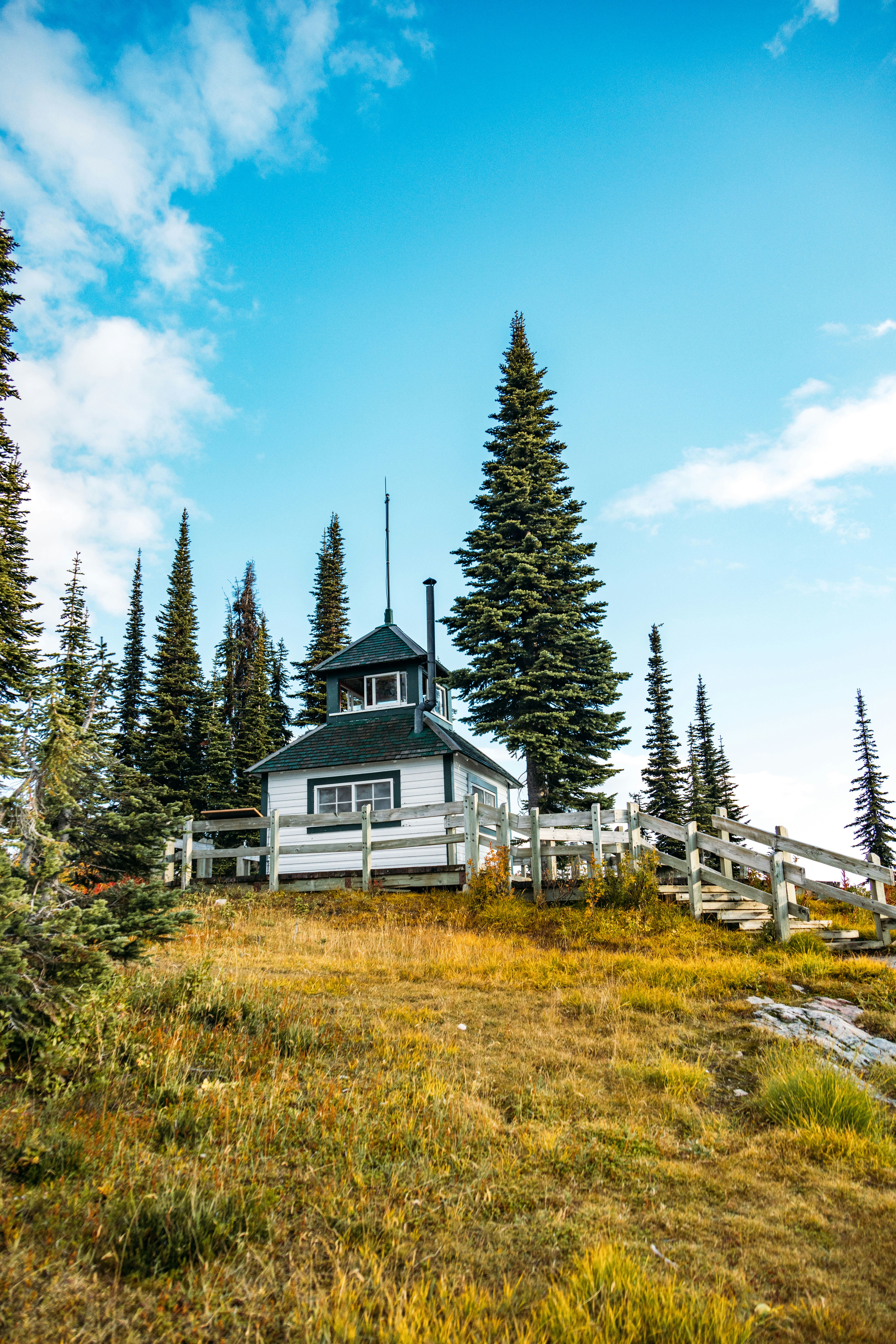 A Timbered Lookout Nestled among Pines