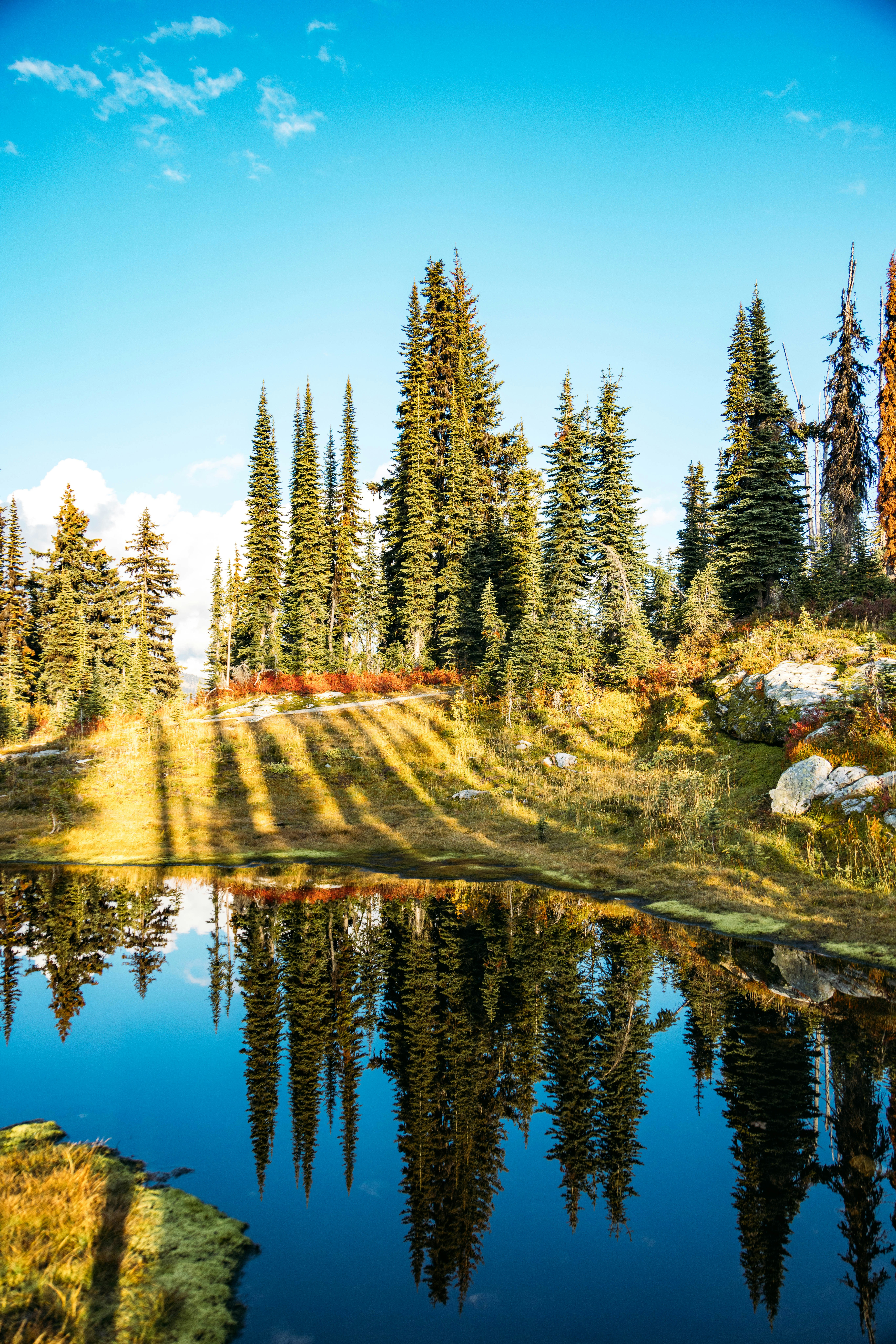 Twin Pines Reflected: A Serene Alpine Mirror