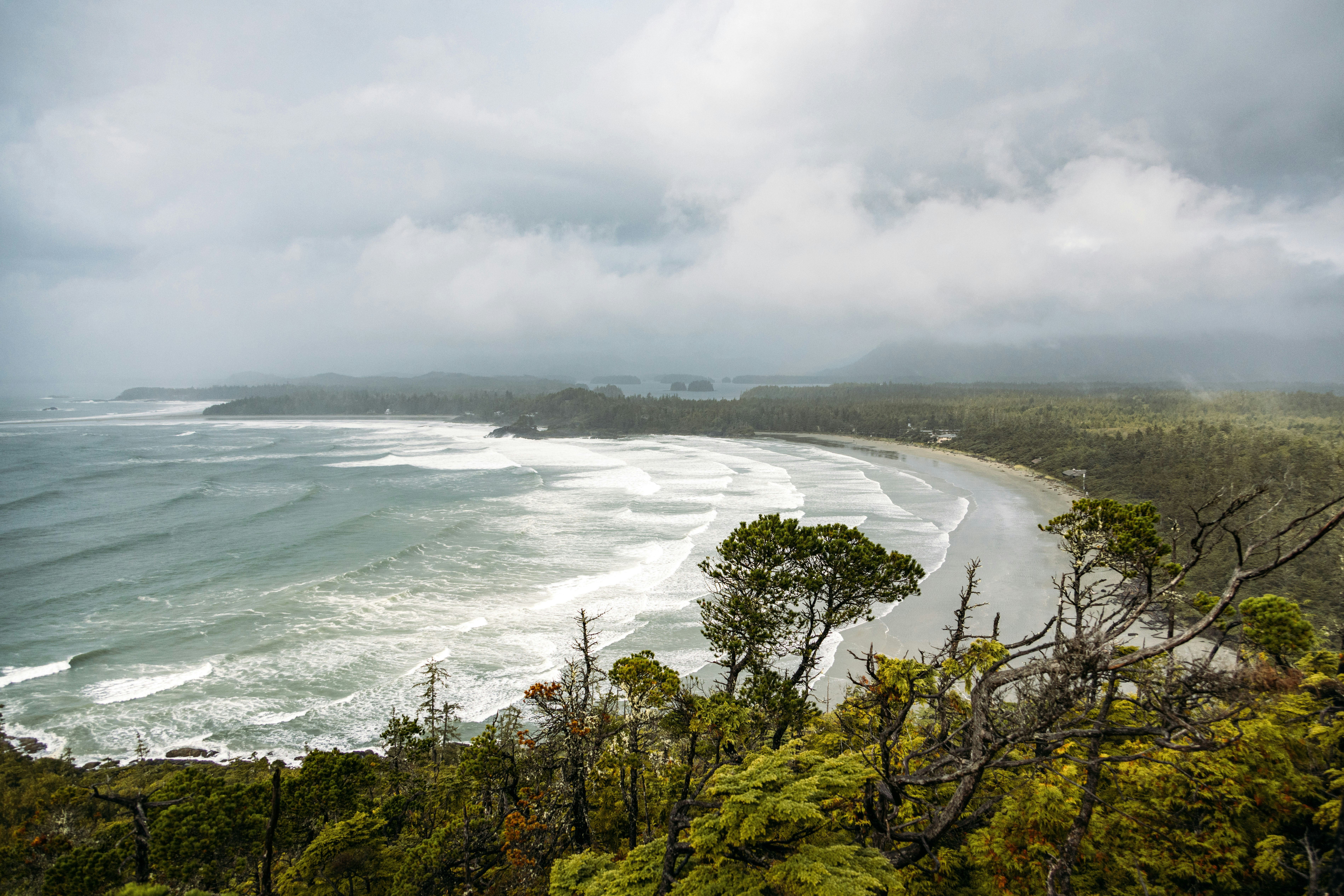 Coastal Ridge: Greenery Framing a Misty Ocean Cusp