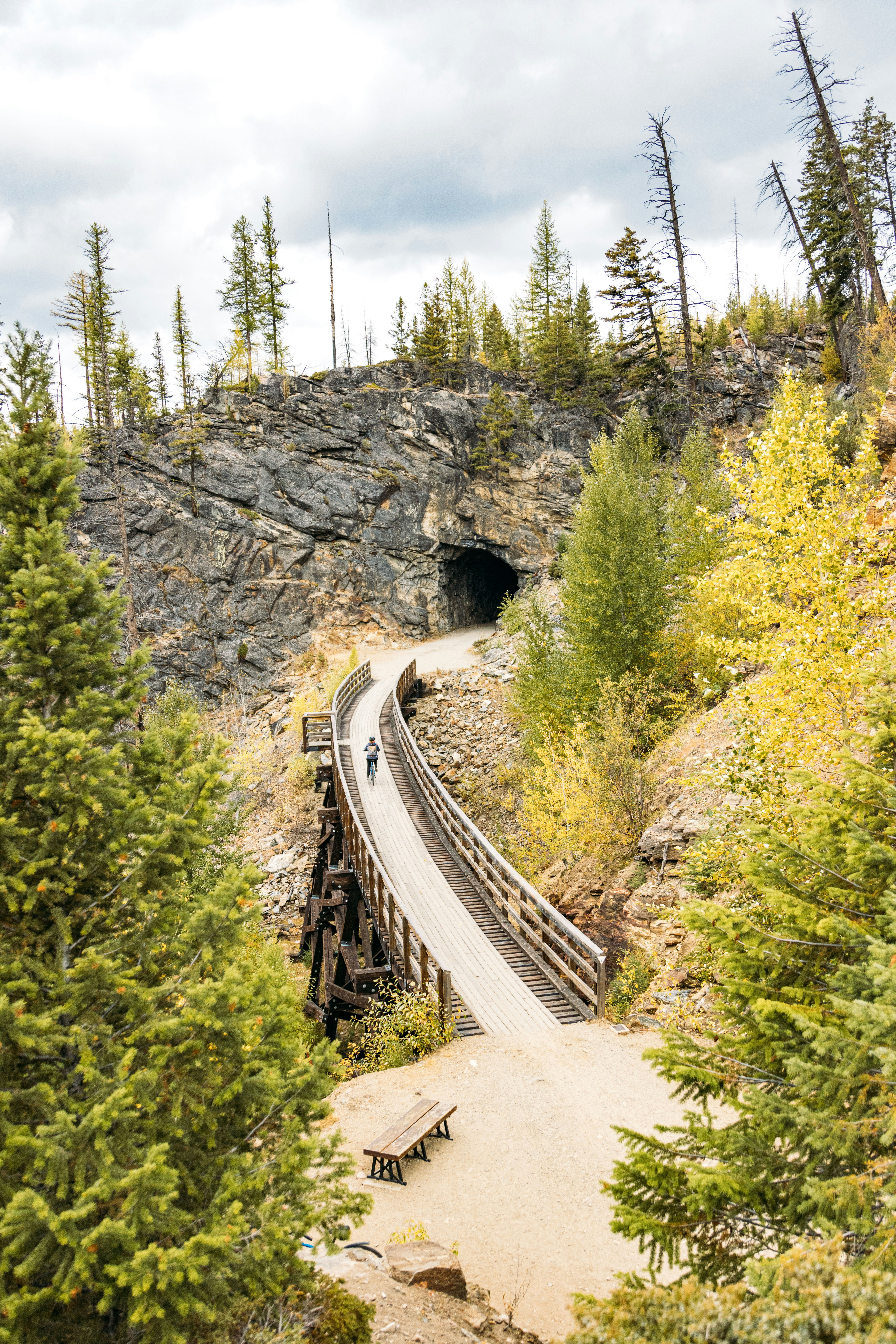 Bridge to the Tunnel: A Curving Path Through Pine and Stone