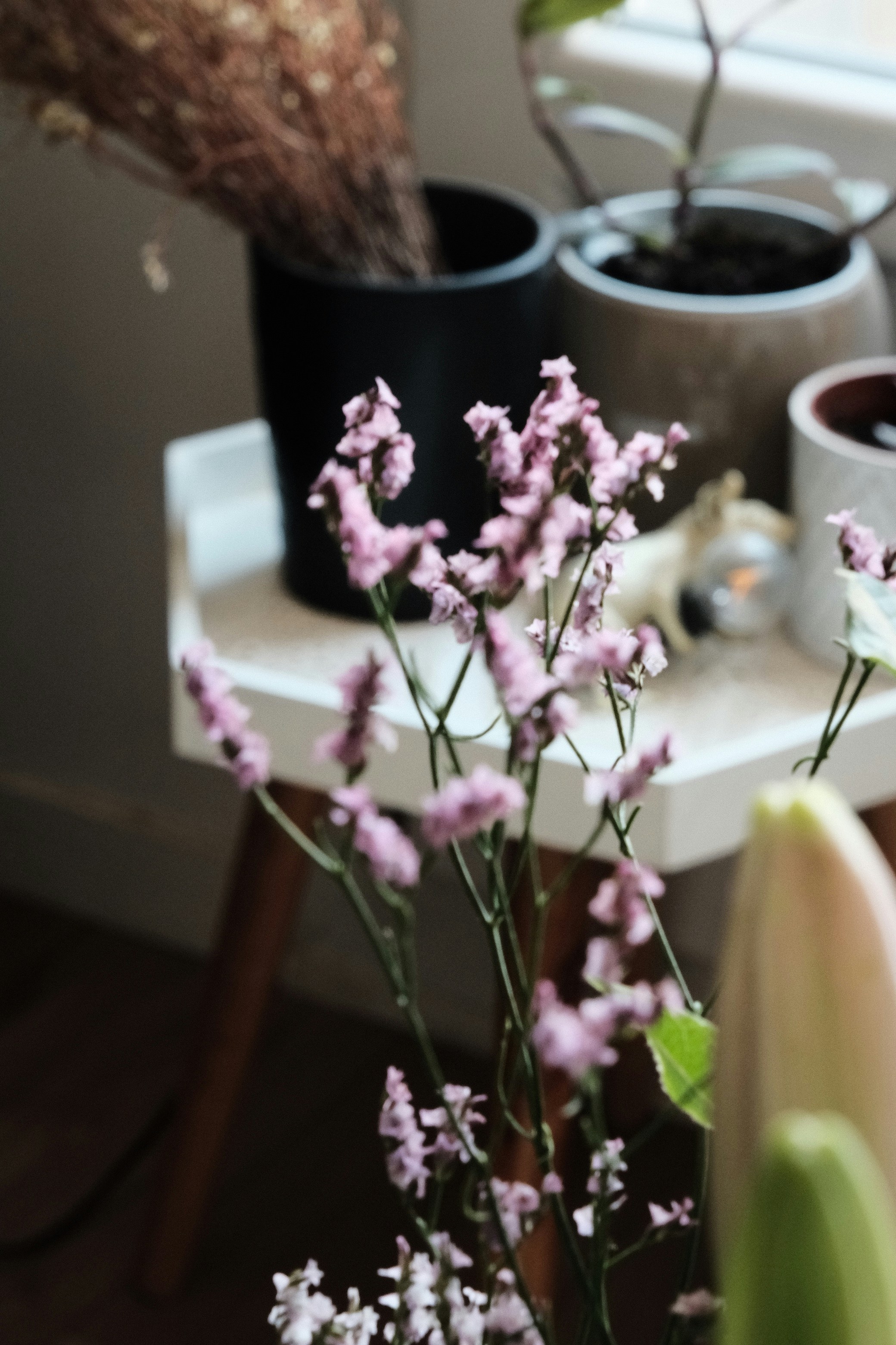 Soft Focus Still Life: Pink Sprigs Against a Cozy Corner