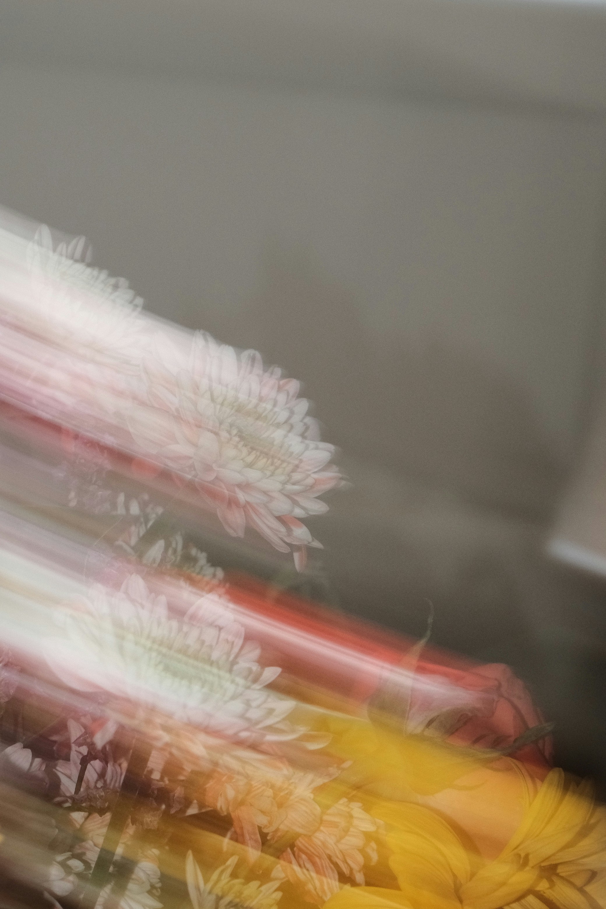 Blurred white, red, and yellow flowers with motion streaks.