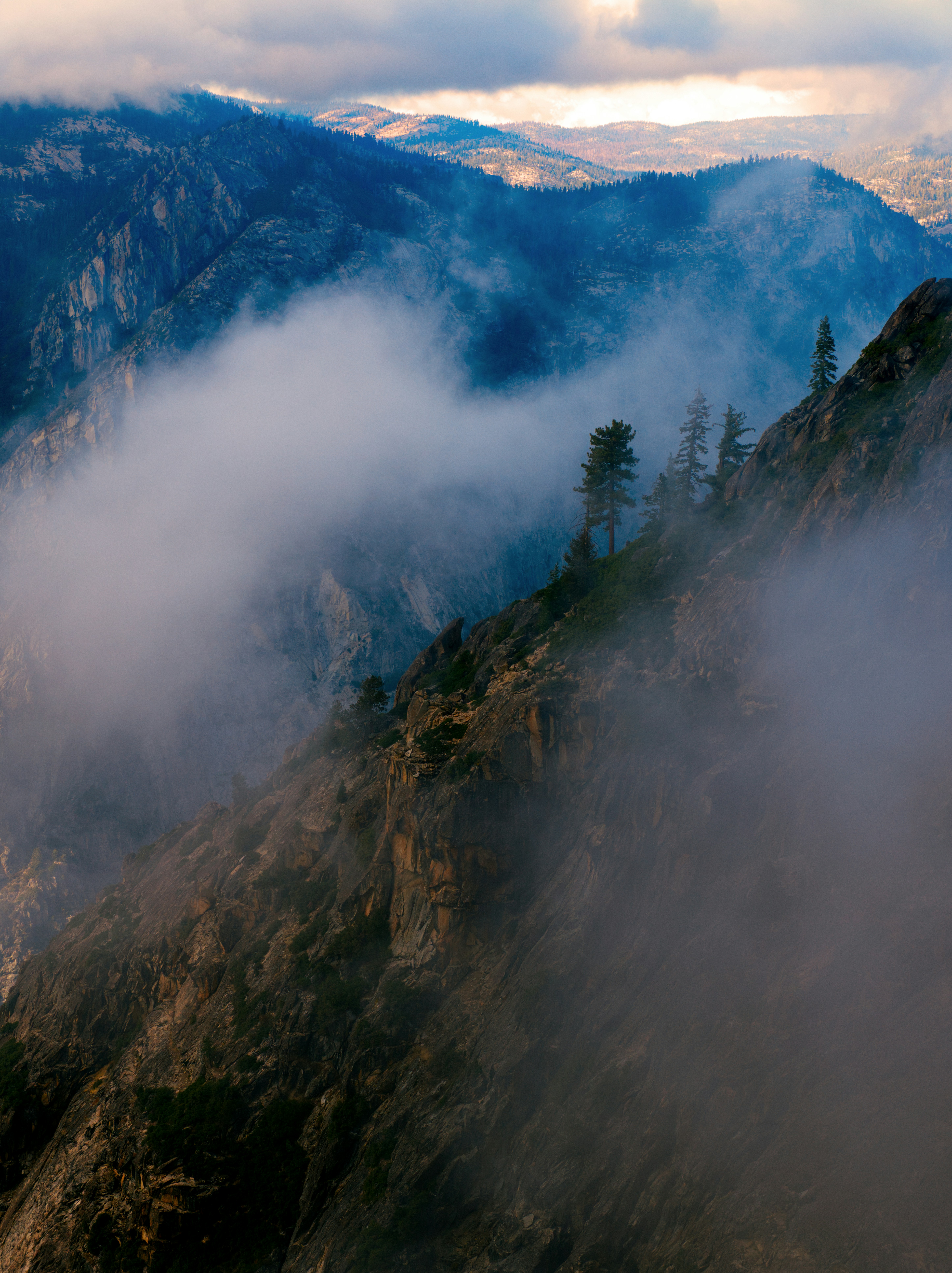 Mist-Clad Ridge: Pine Trees Crown the Sloping Crest