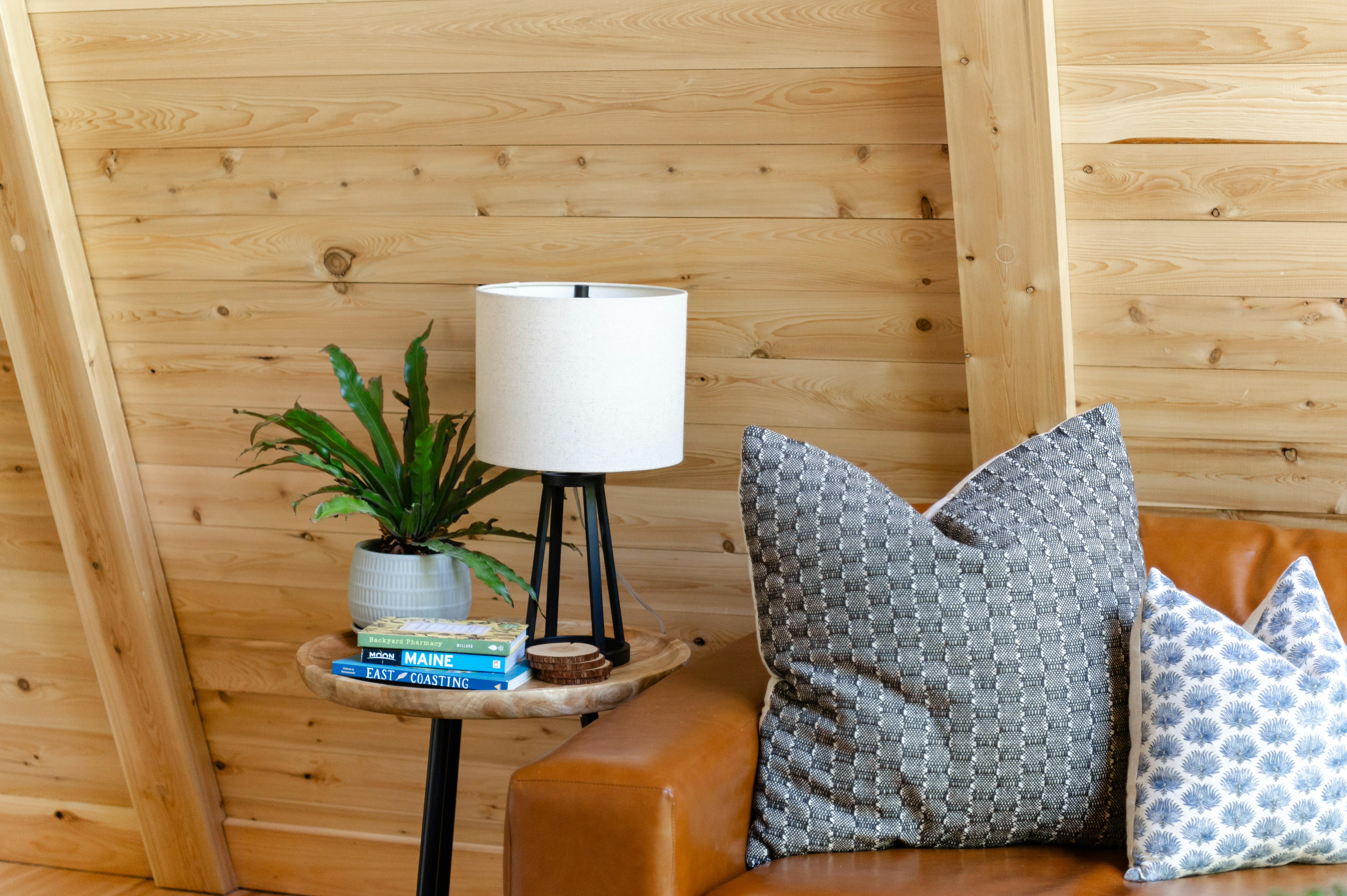 Cozy Corner: Plant, Lamp, and Cushions on a Wooden Wall