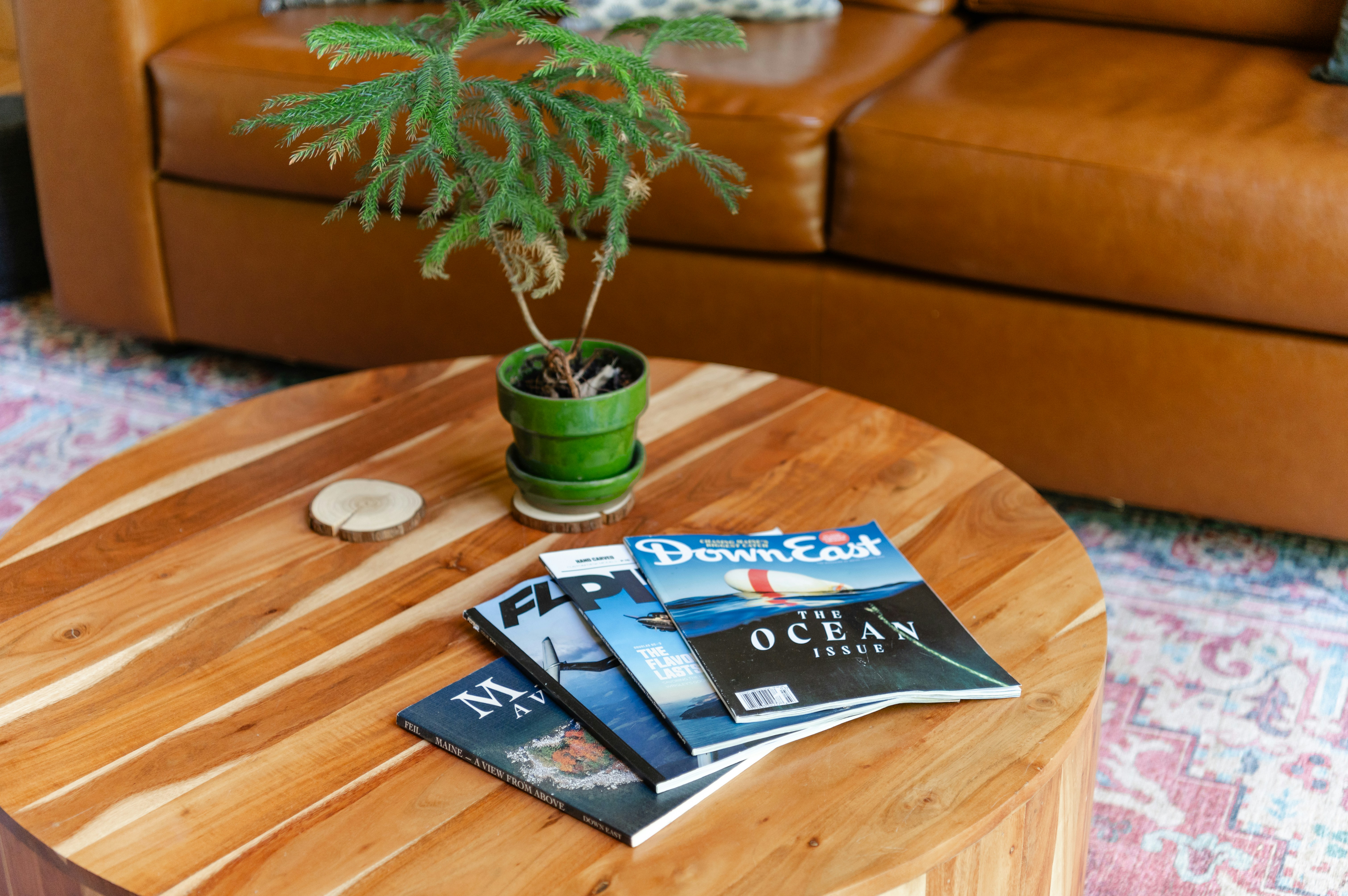 Potted plant and magazines on a round wooden coffee table.