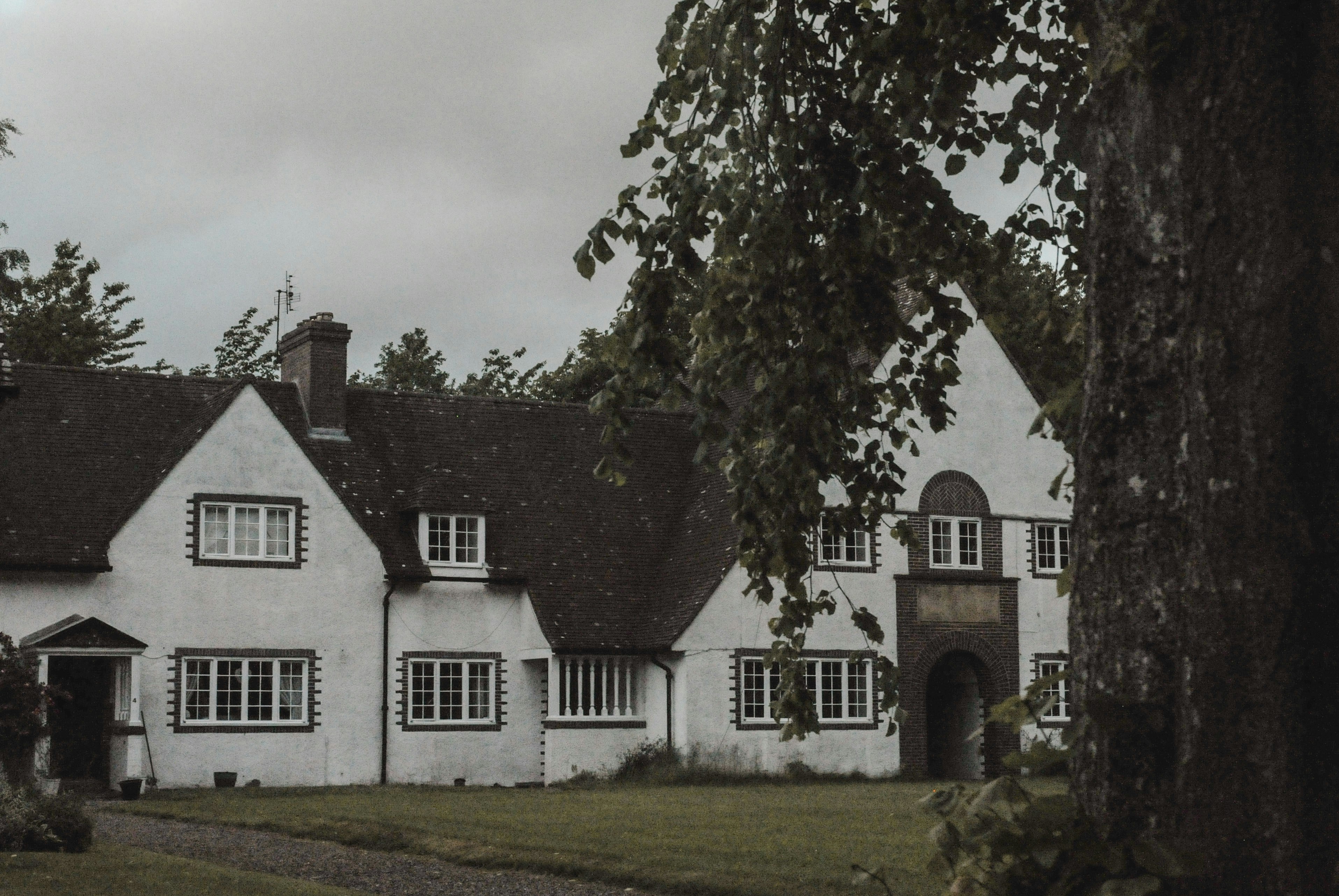 White Cottage Rows Under A Leafy Canopy