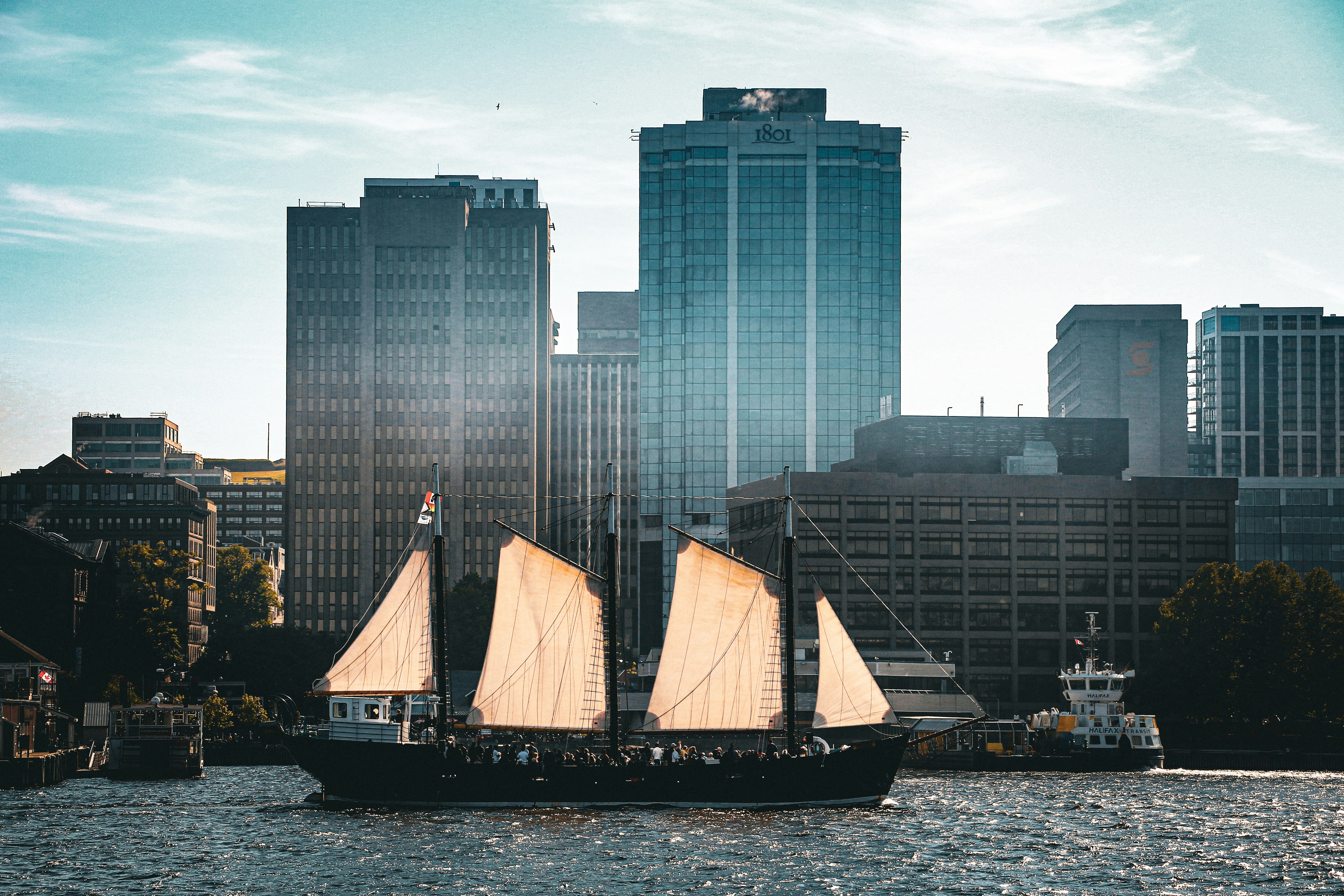 Sailing through the City: A Historic Schooner on the Waterfront