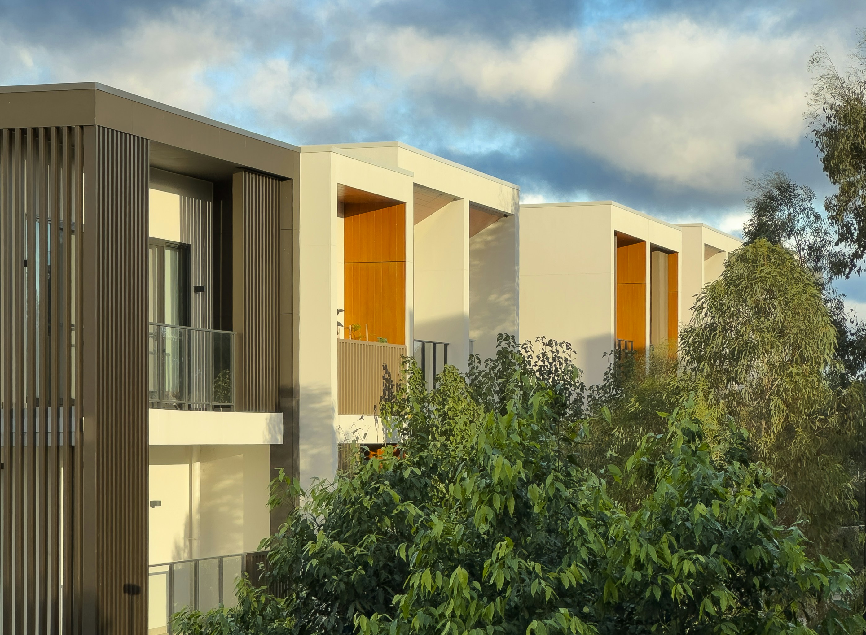 Sunlit Modern Terrace Faces Overlush Greenery