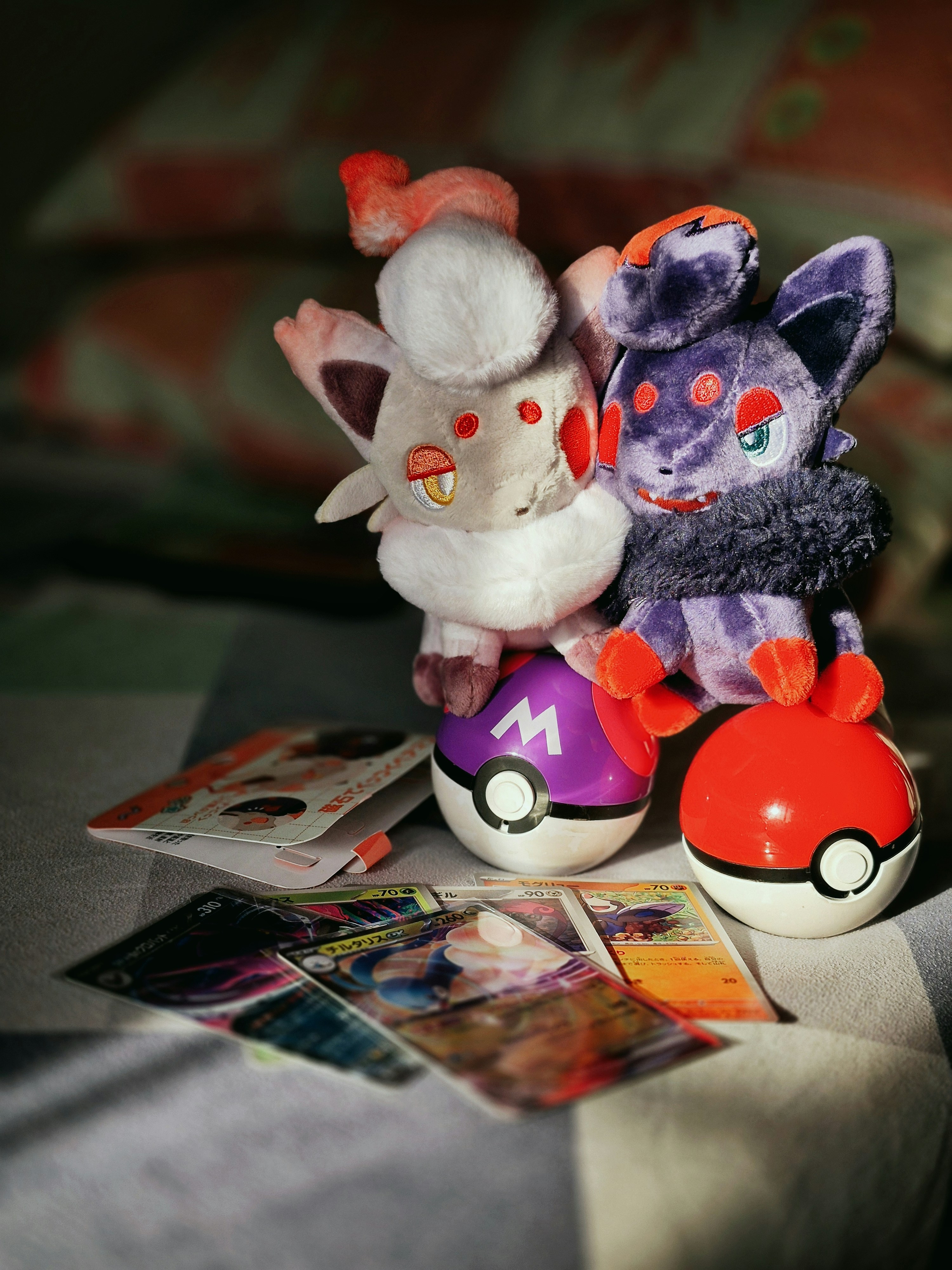 Two Plush Trainers Share the Spotlight on a Card-Pordered Surface
