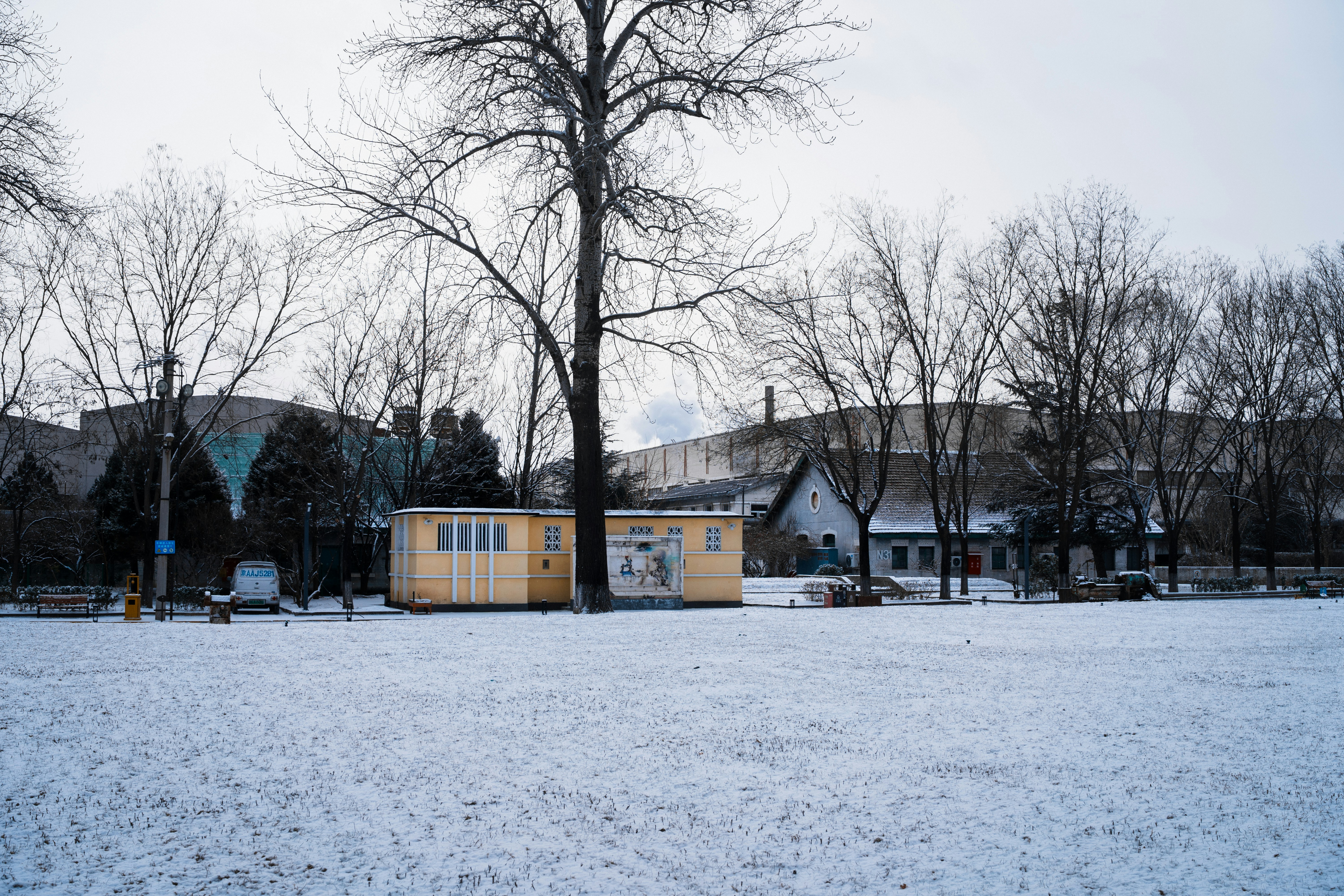Yellow portable building in snowy landscape with bare trees.