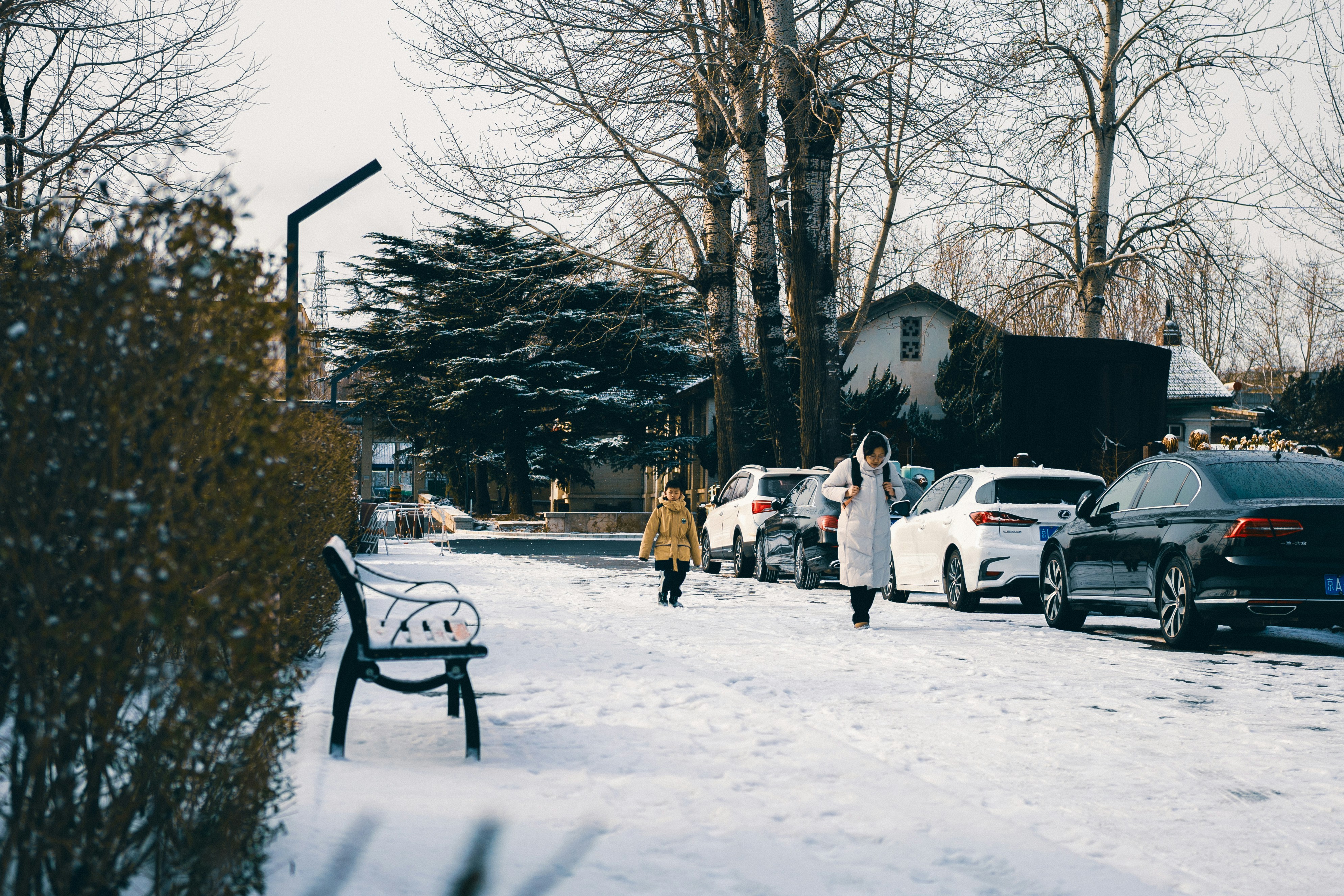 Winter Street in Quiet Suburb: People in a Snow-Covered Scene