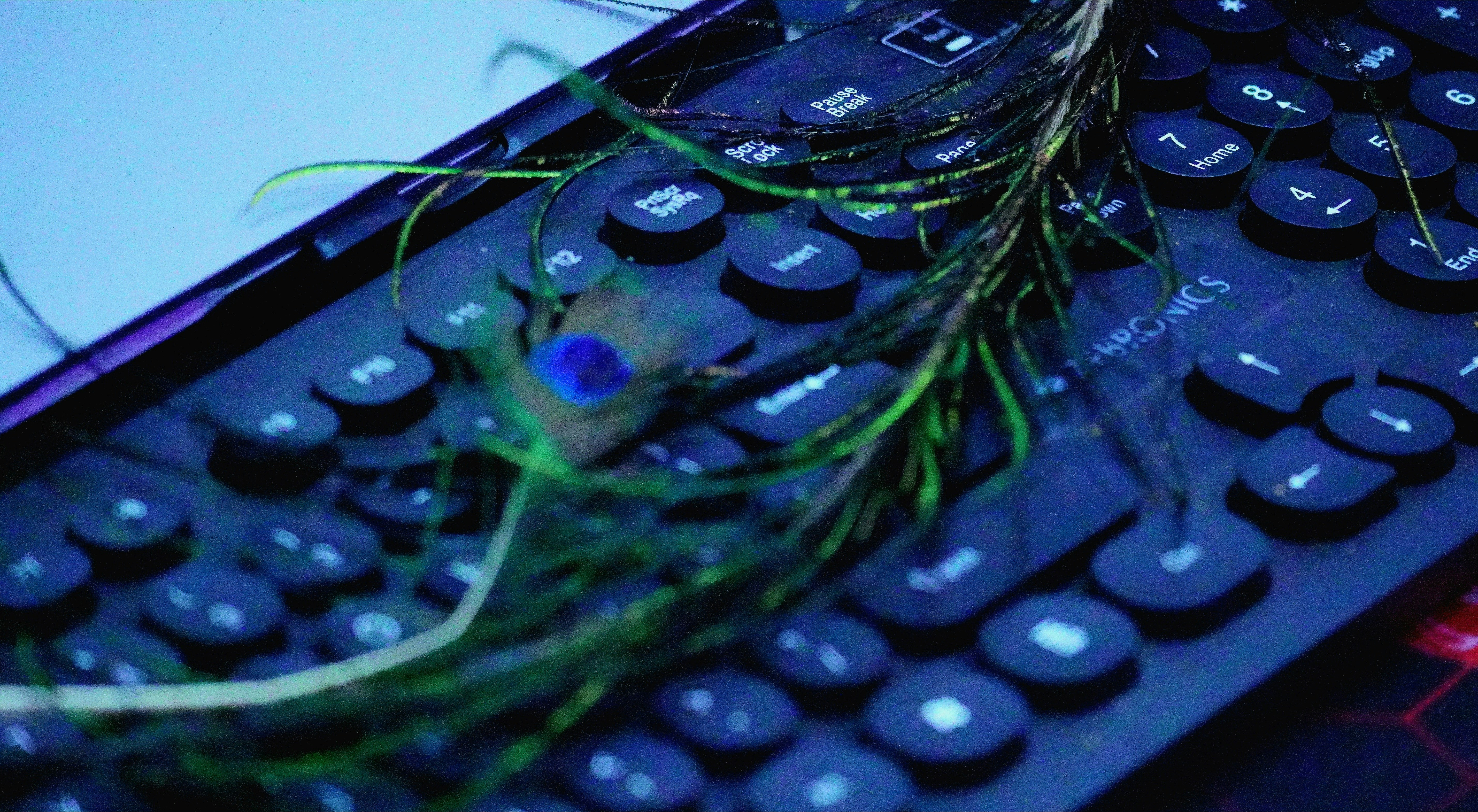 Bright Neon Keys: a Tangle of Green on a Dim Keyboard