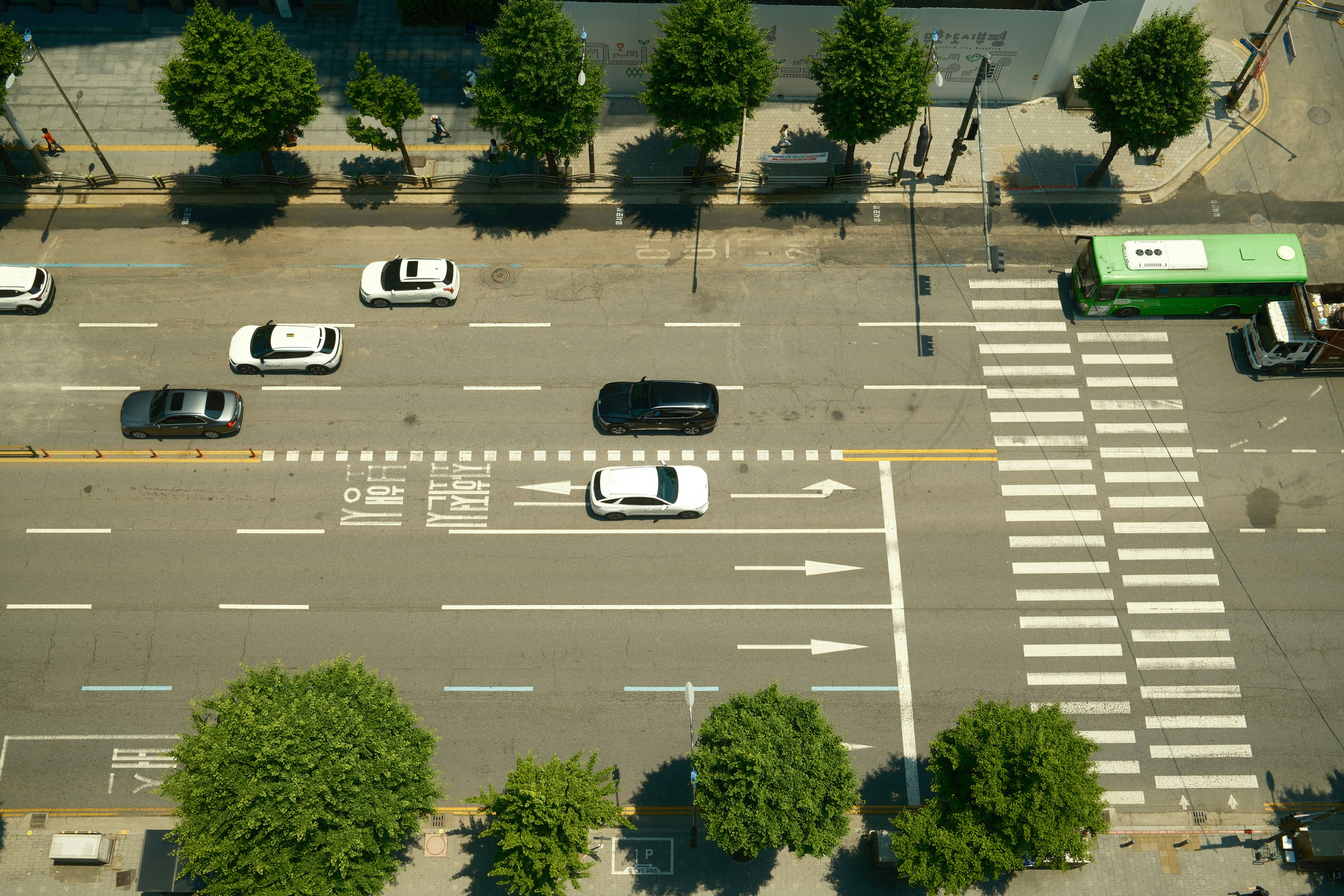 Urban Crosswalk Symphony: A Bird’s-Eye View of Street Life