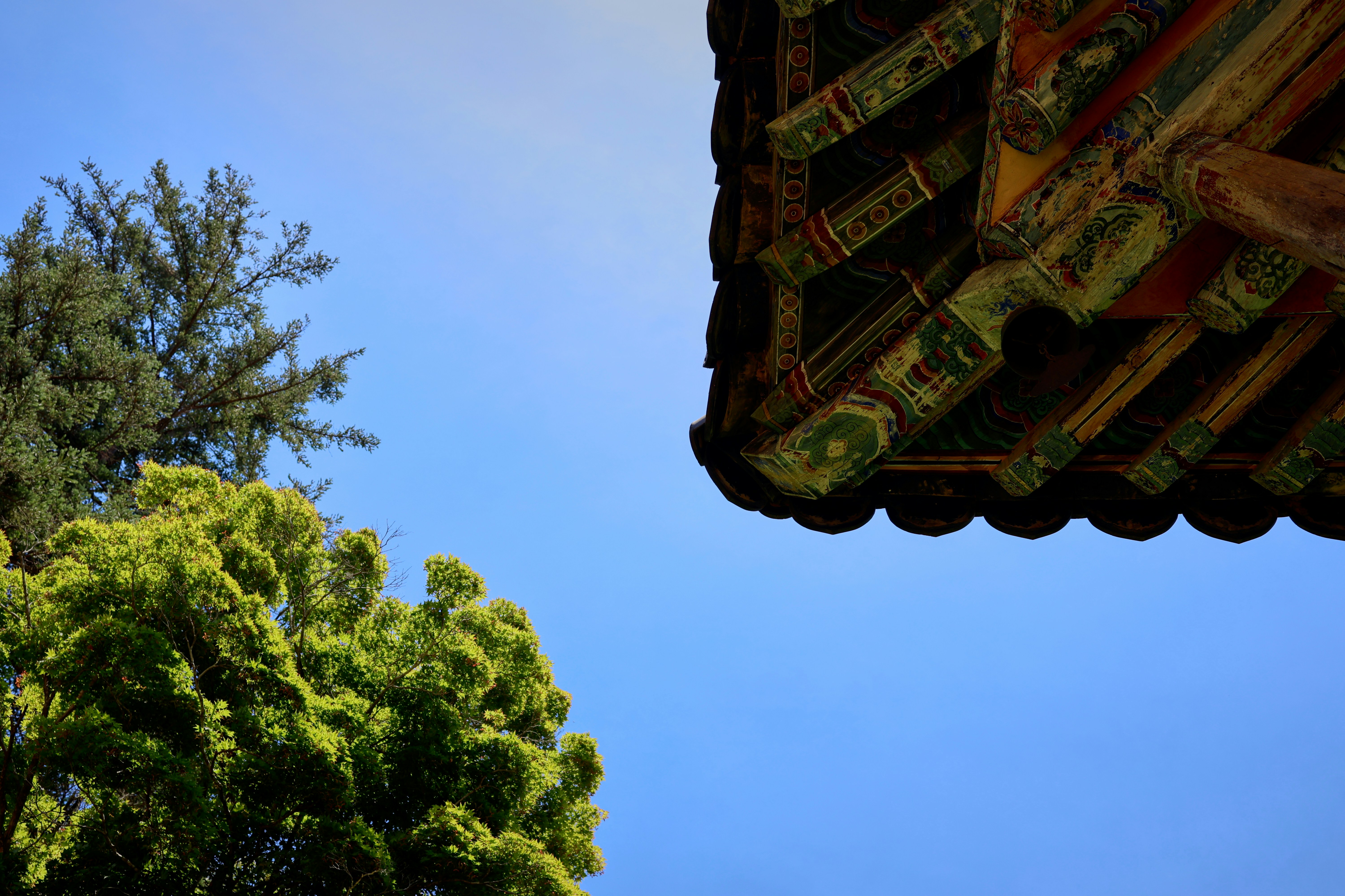 Overhanging eave and blue sky: a diagonal composition with lush treeline