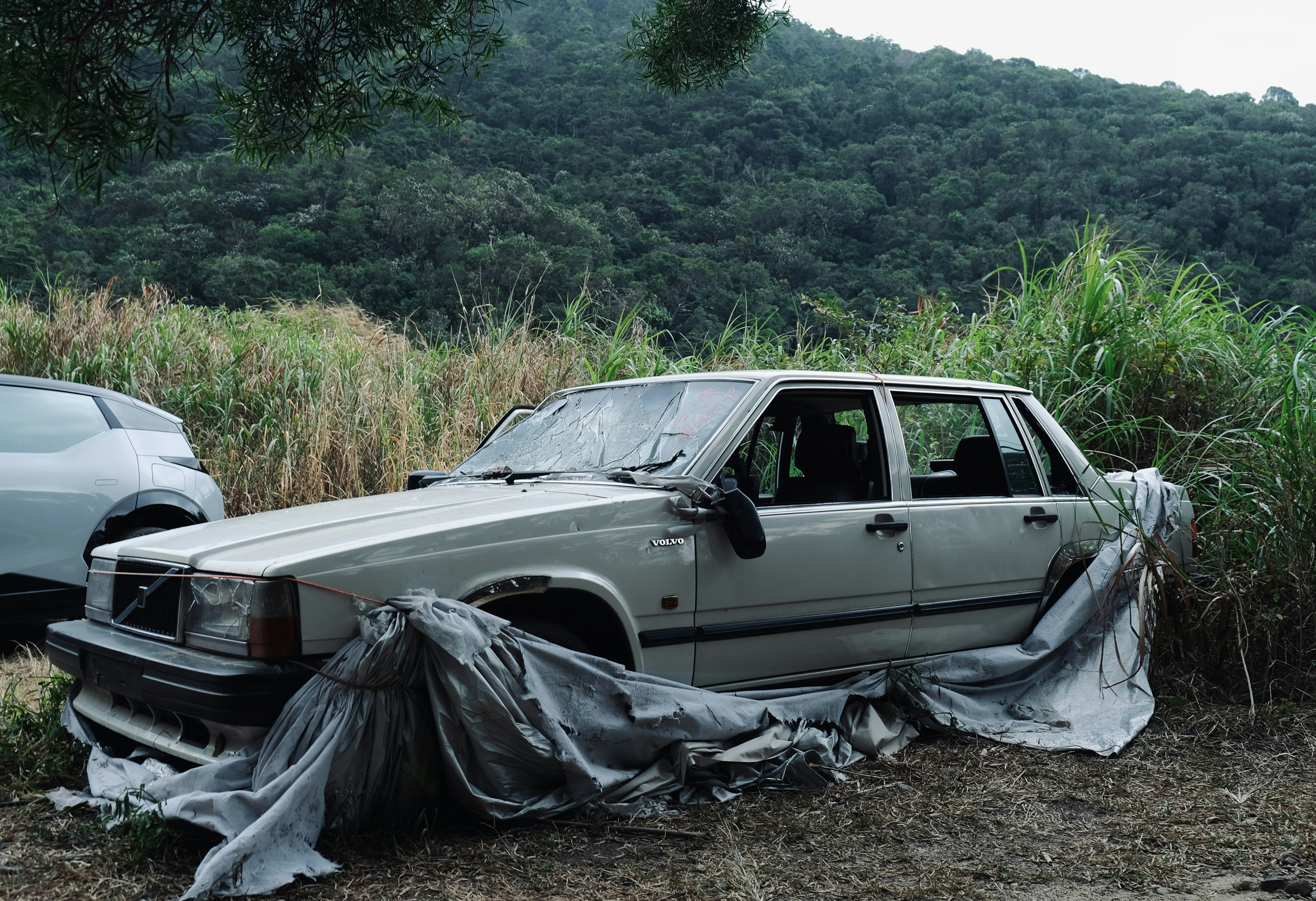 Abandoned Sedan Wrapped in Tattered Canvas among Tall Grasses