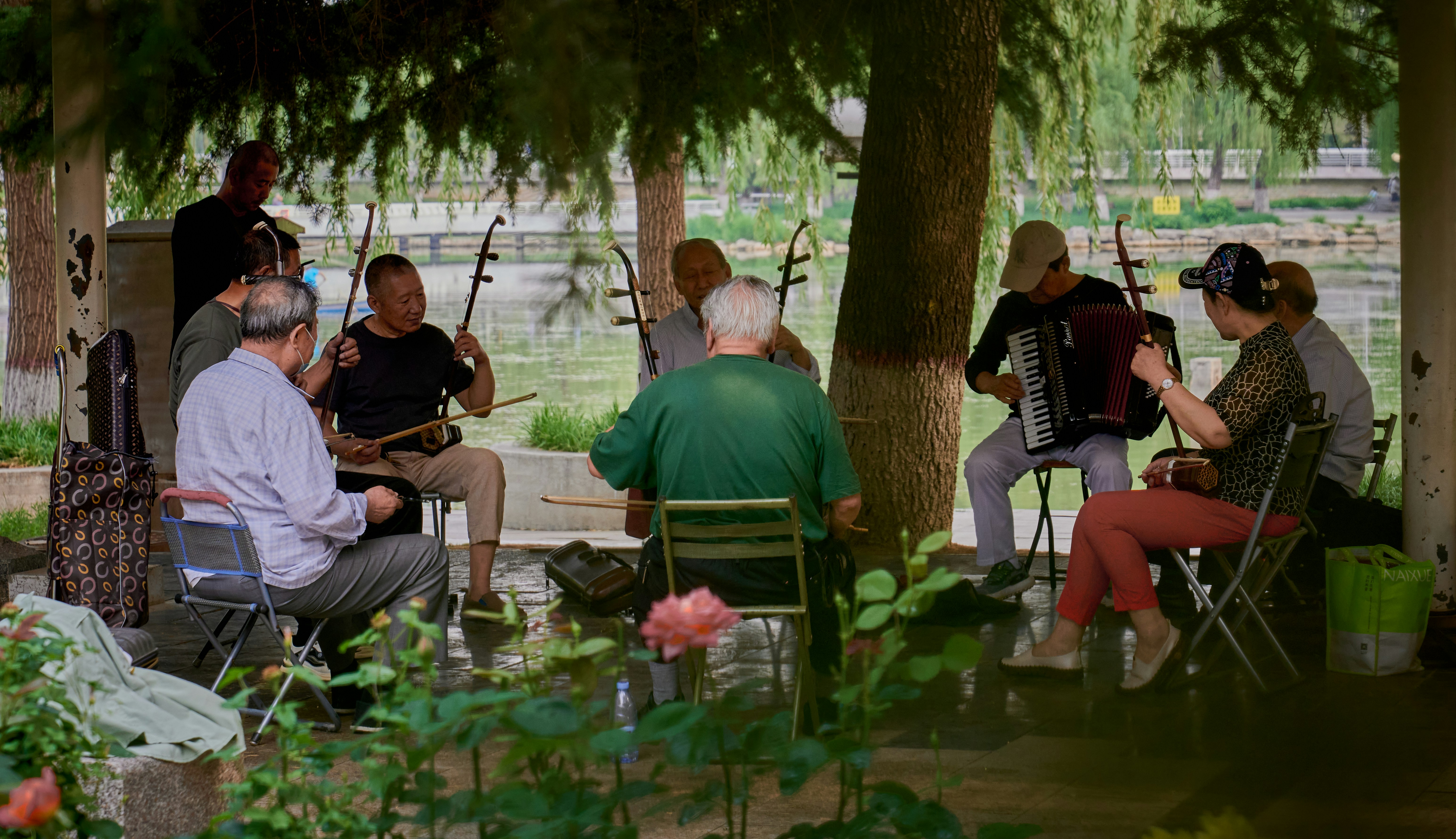 Musicians playing erhus and accordion in a garden.