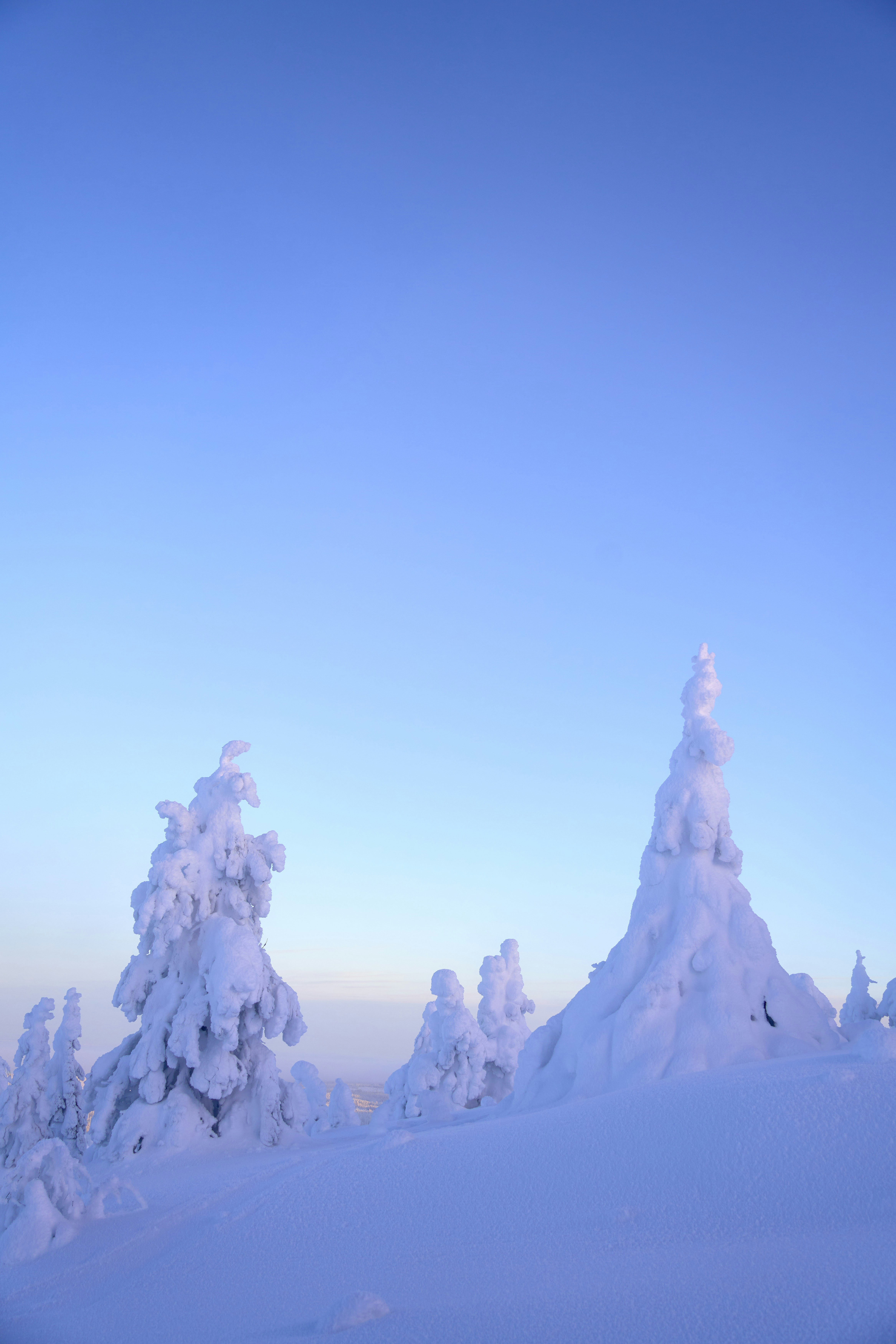 Icebound Sentinels Under a Pale Blue Sky