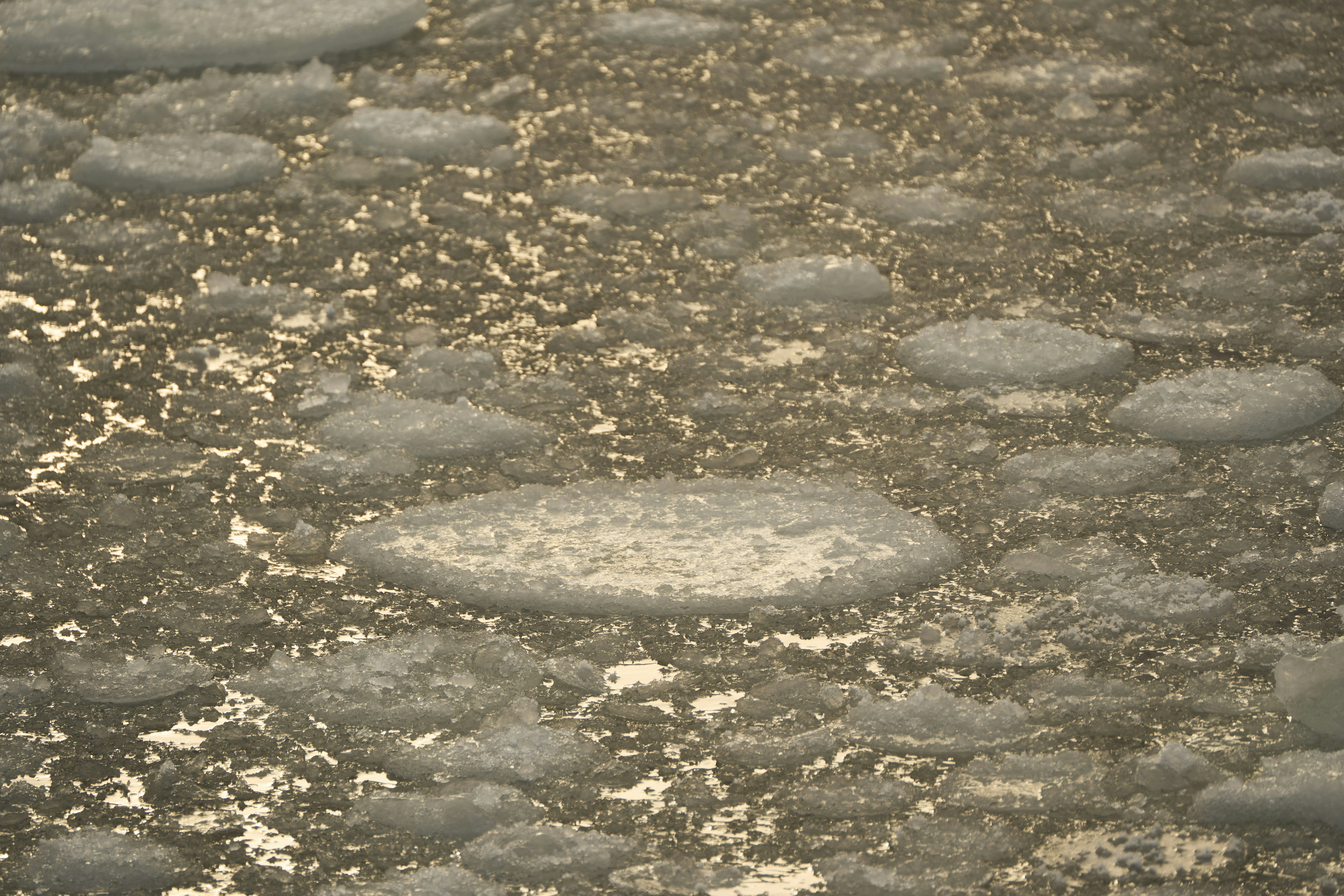 Textured Terrain: Pebble-like Surface in Muted Earth Tones