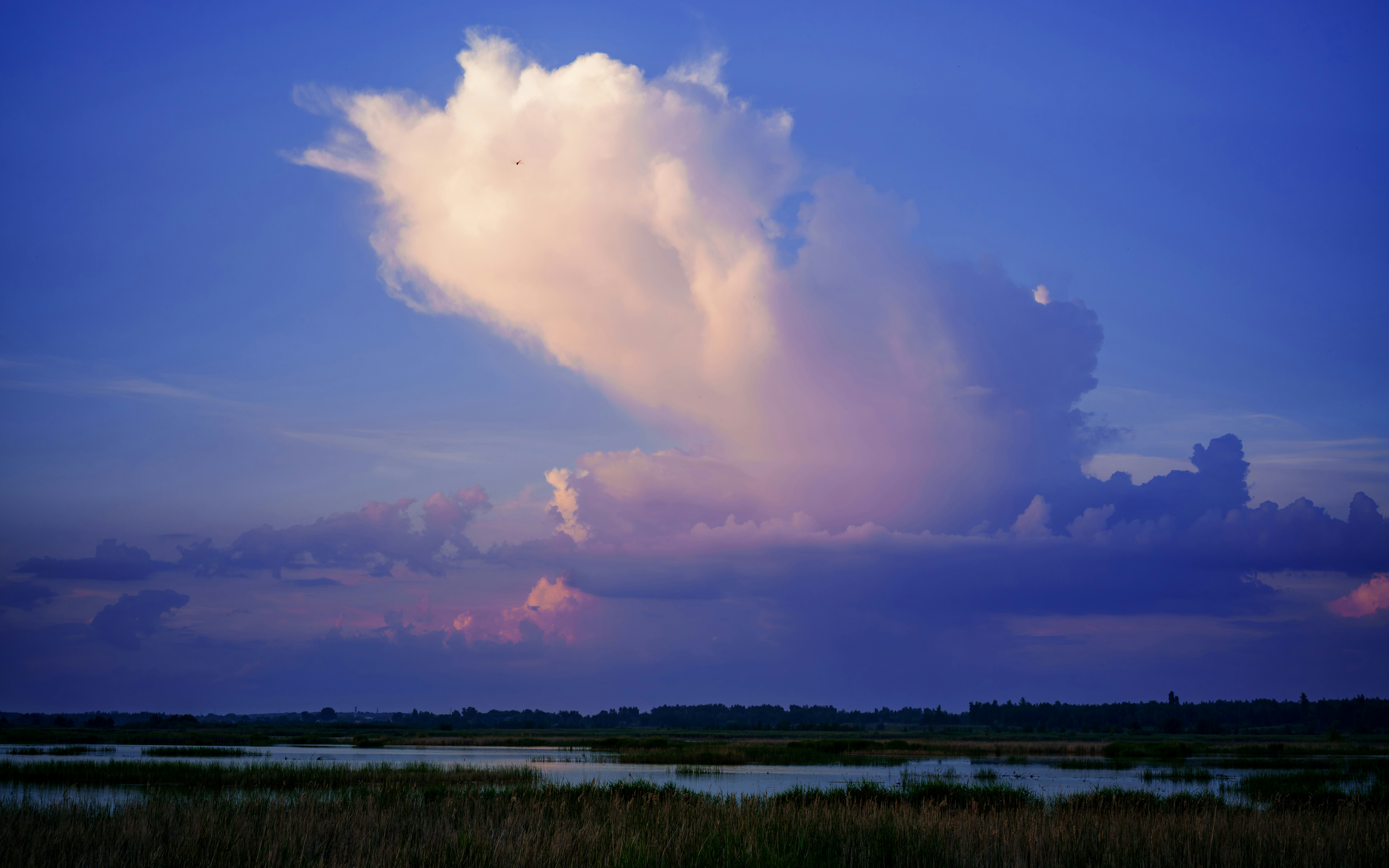Large cloud formation over a dark blue sky and wetlands.