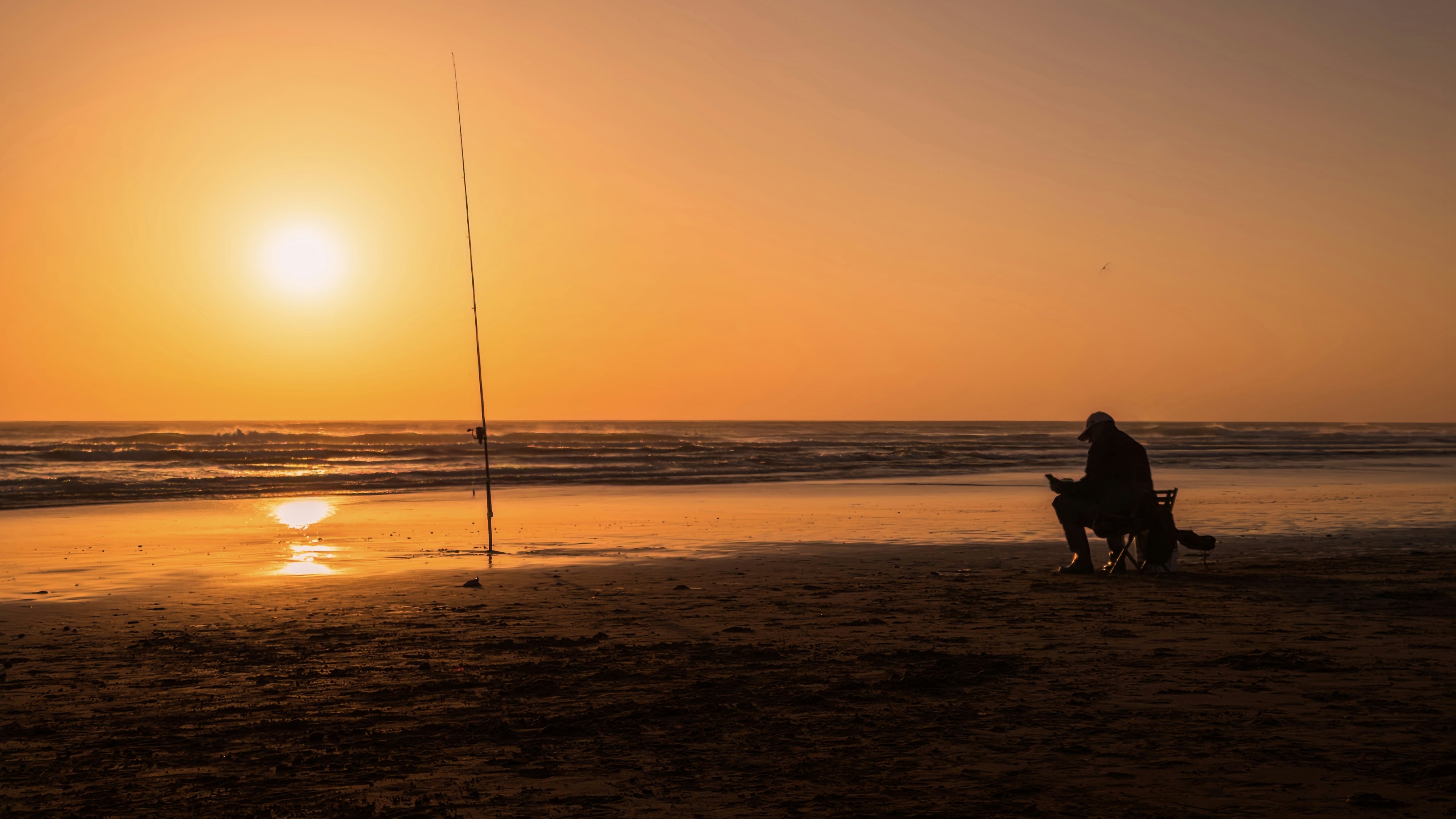 Quiet Casting: A Fisherman at Dusk by the Long Shore